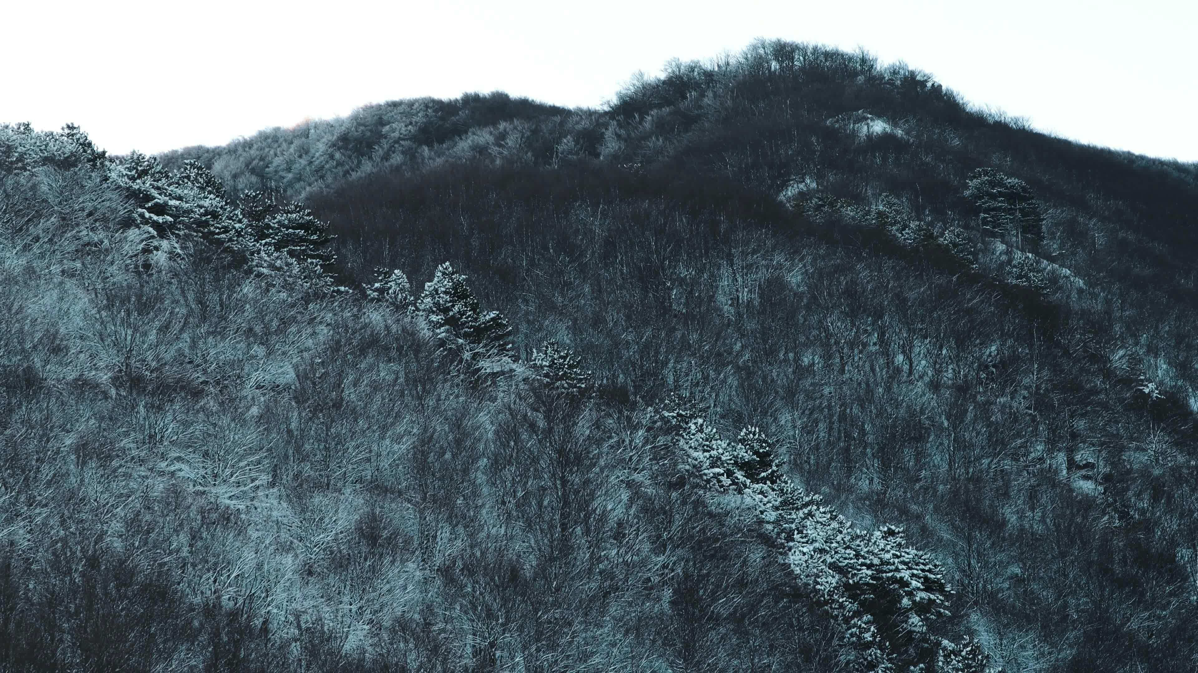 Very Cool Videos, Download The BEST Free 4k Stock Video Footage & Very ...