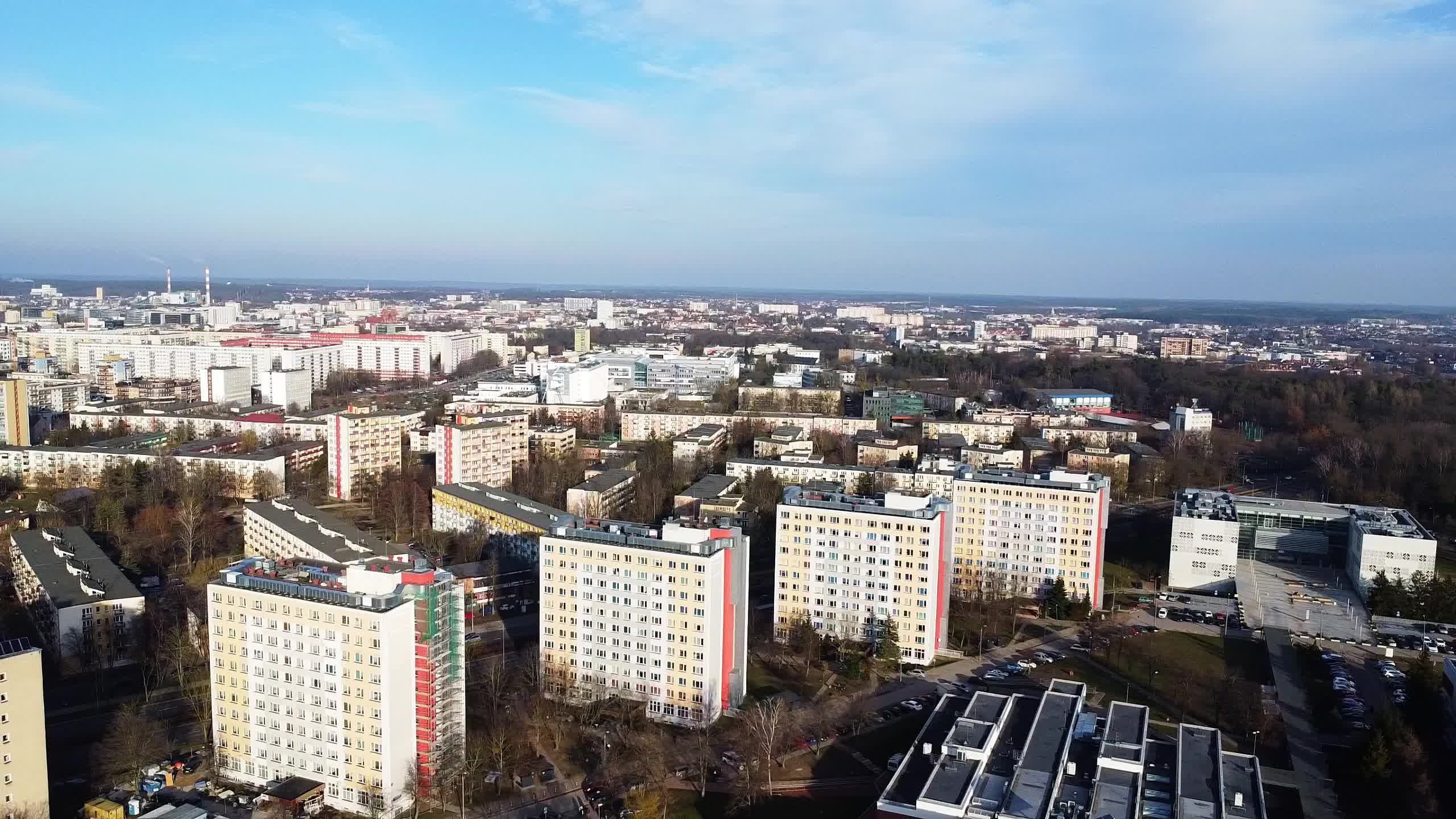 Germany Reindeer Videos, Download The BEST Free 4k Stock Video Footage ...