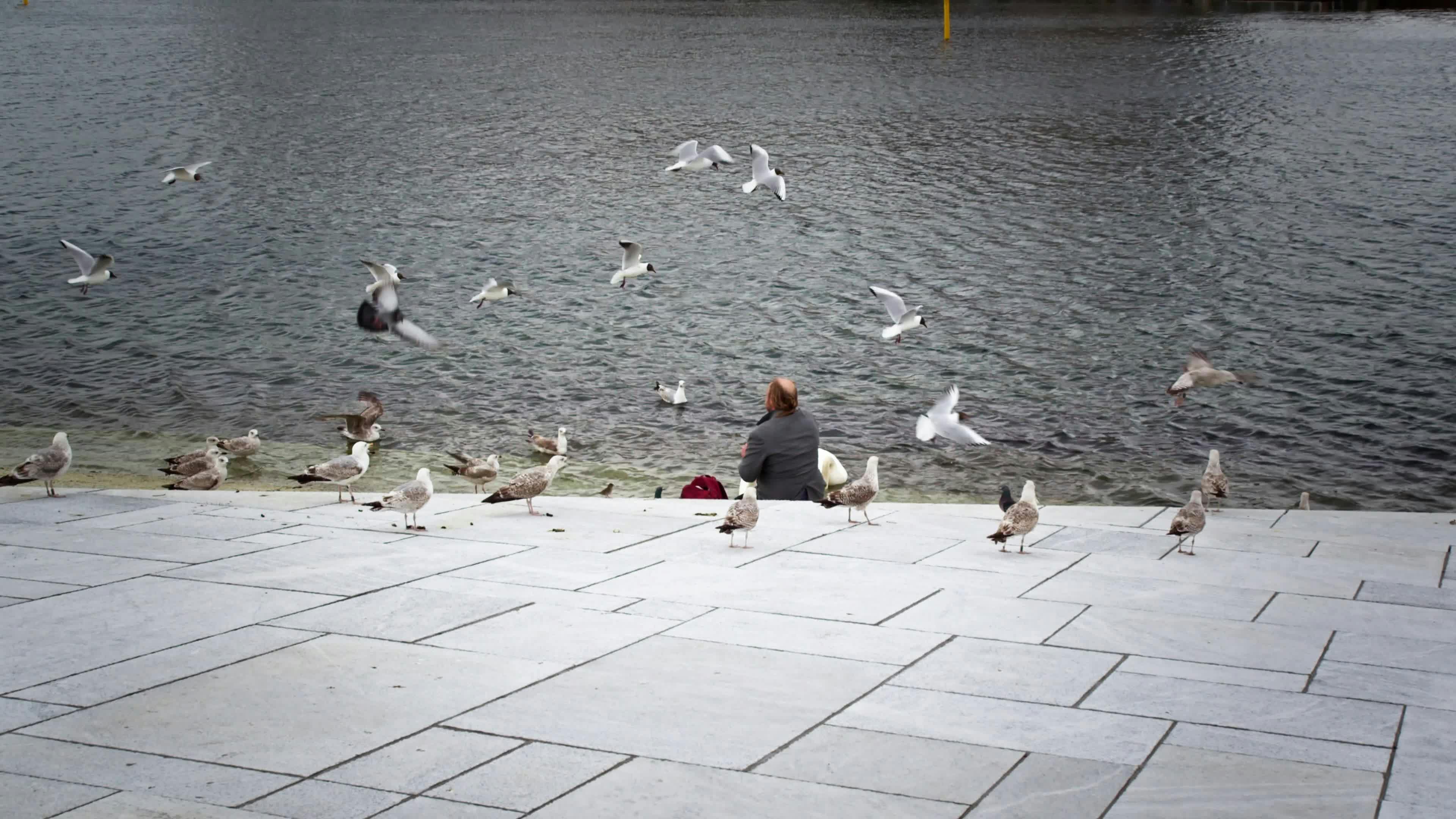 Walking Into Water Videos, Download The BEST Free 4k Stock Video ...