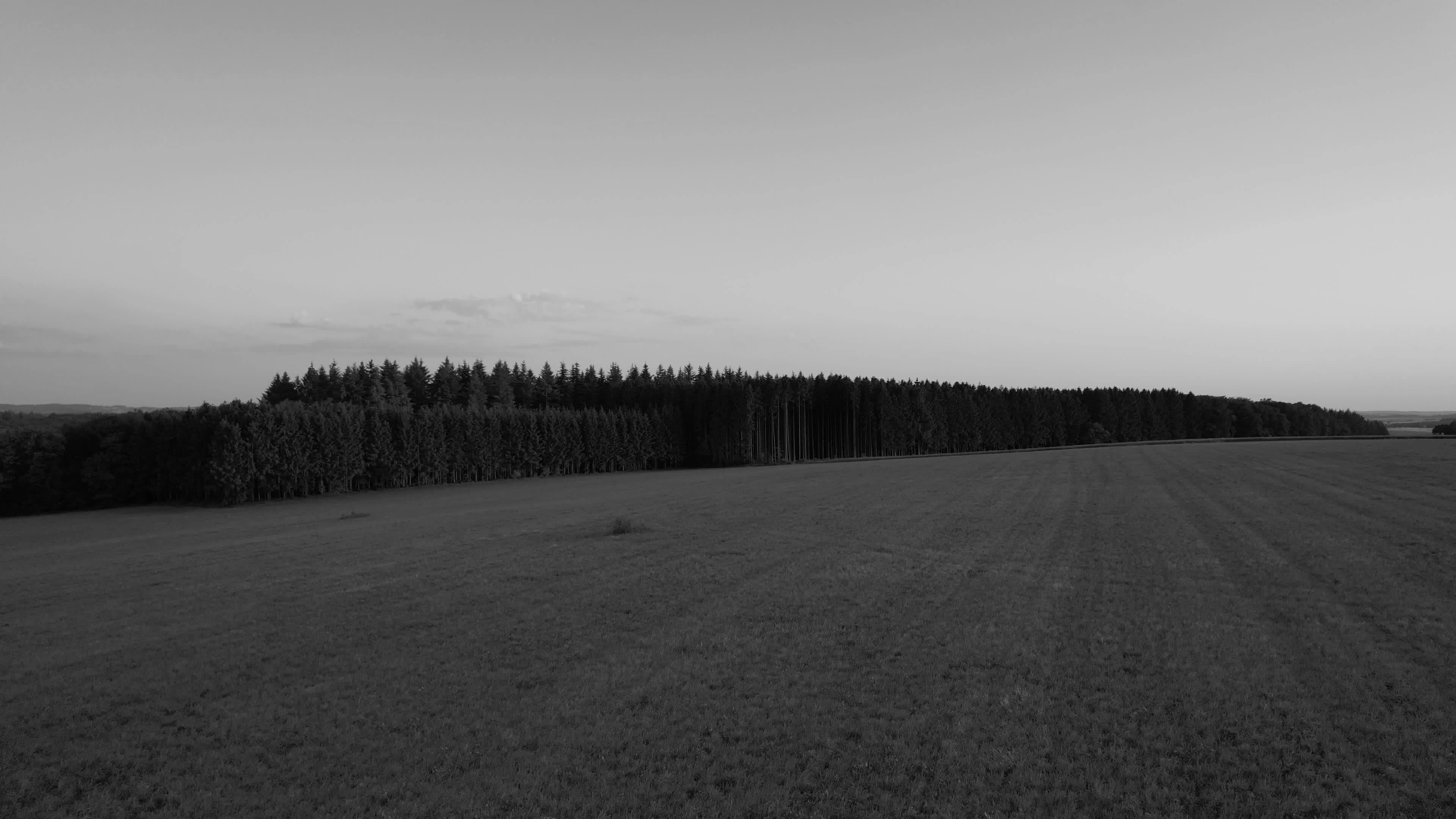 Minimal+Gallery Videos, Download The BEST Free 4k Stock Video Footage ...