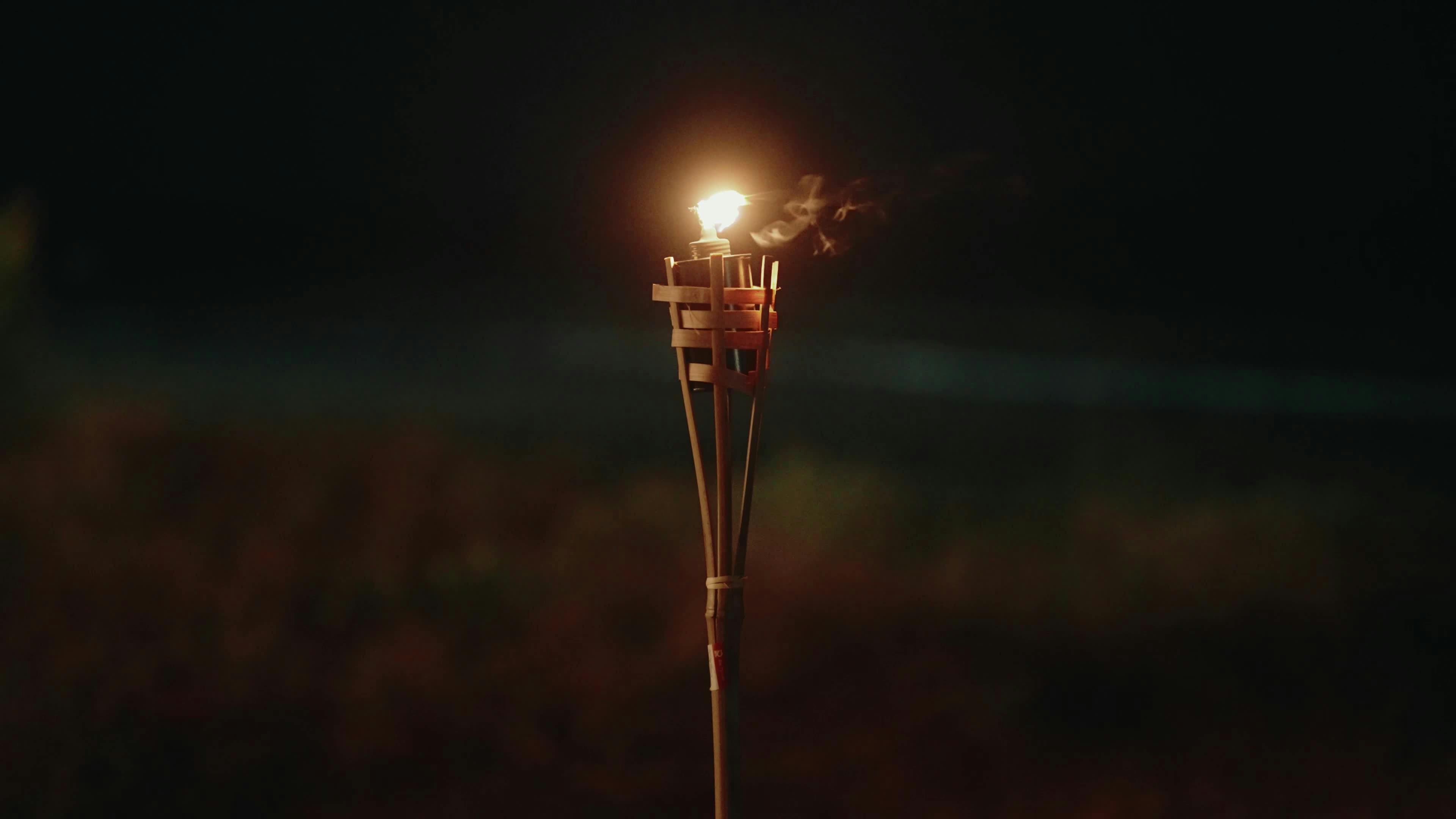 A Person Holding a Lighted Torch Free Stock Video Footage, Royalty-Free ...