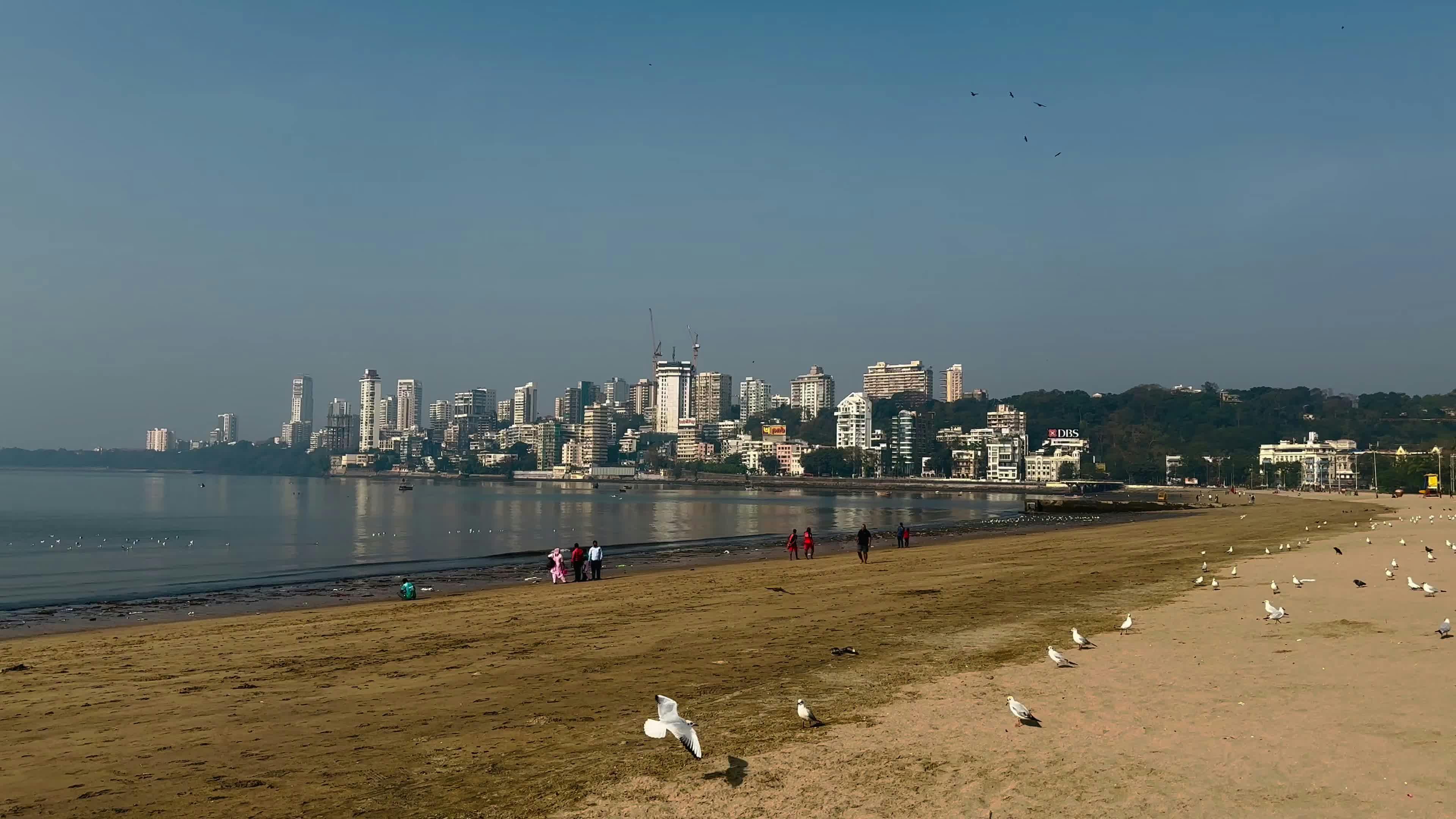 Peaceful Morning at Mumbai's Iconic Marine Drive Beach Free Stock Video ...