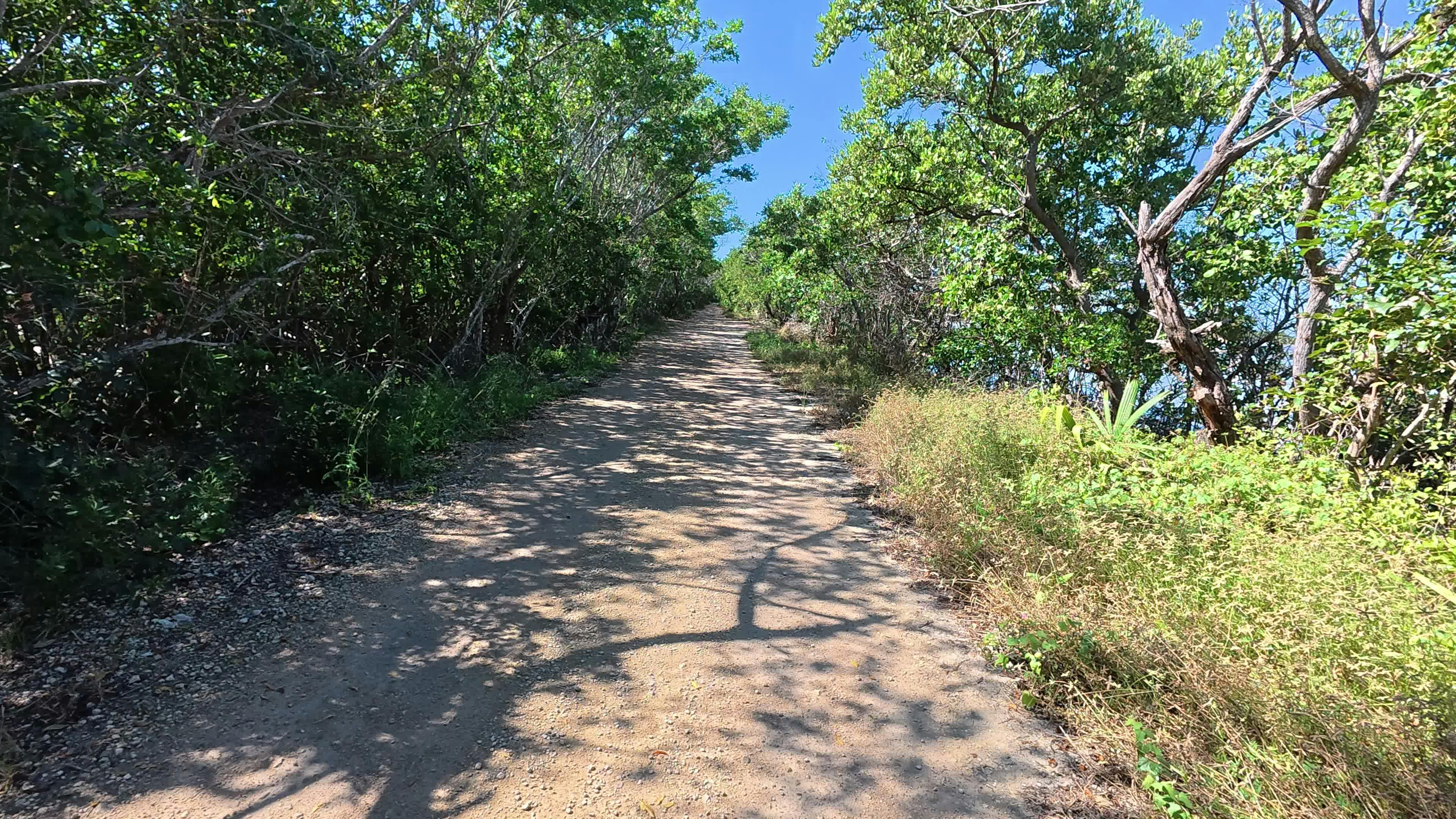 Forest In Ethiopia Videos, Download The BEST Free 4k Stock Video ...