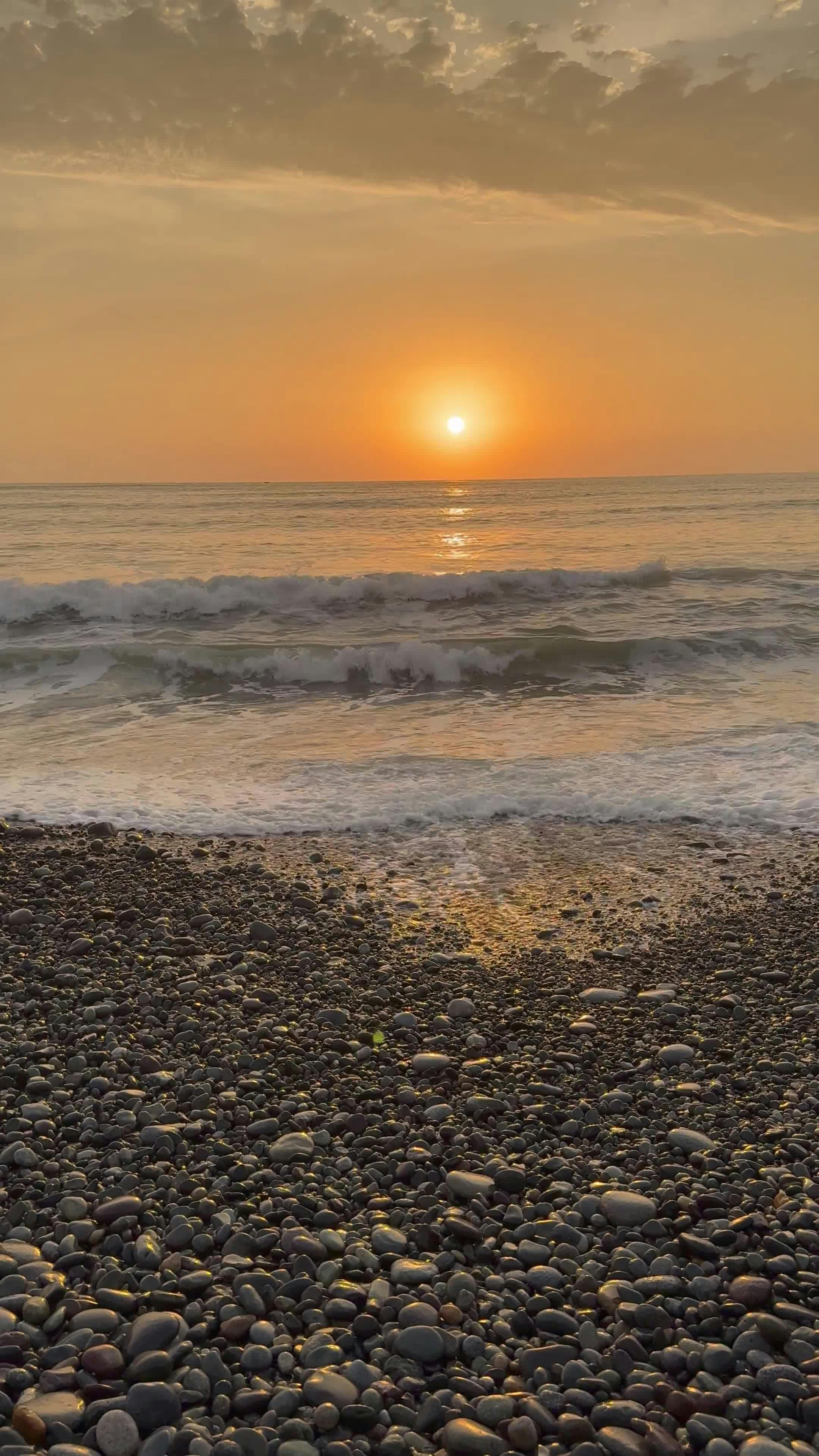 Raw图片 Videos, Download The BEST Free 4k Stock Video Footage & Raw图片 HD ...