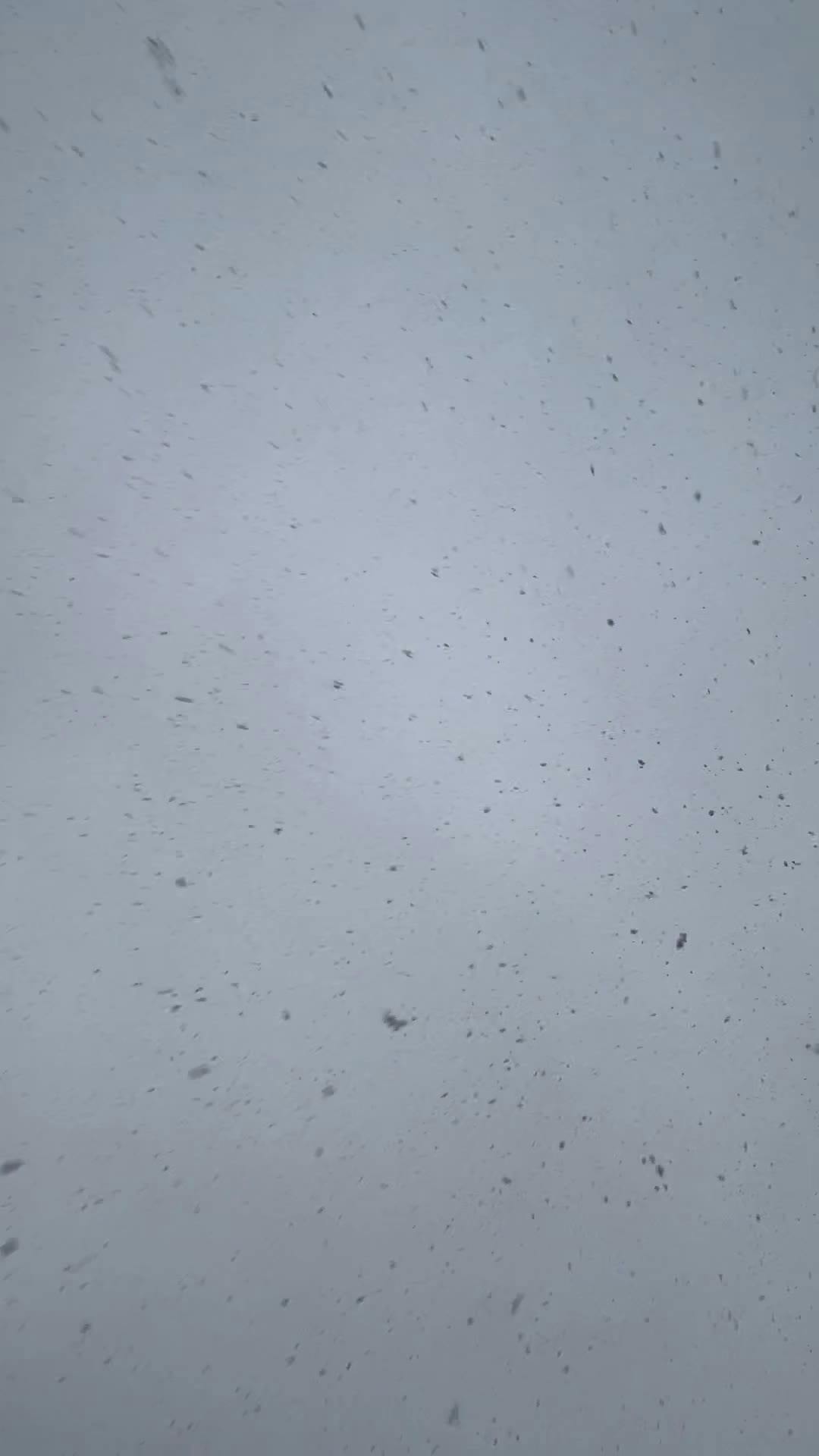 Gentle Falling Snowflakes in Winter Sky Free Stock Video Footage ...