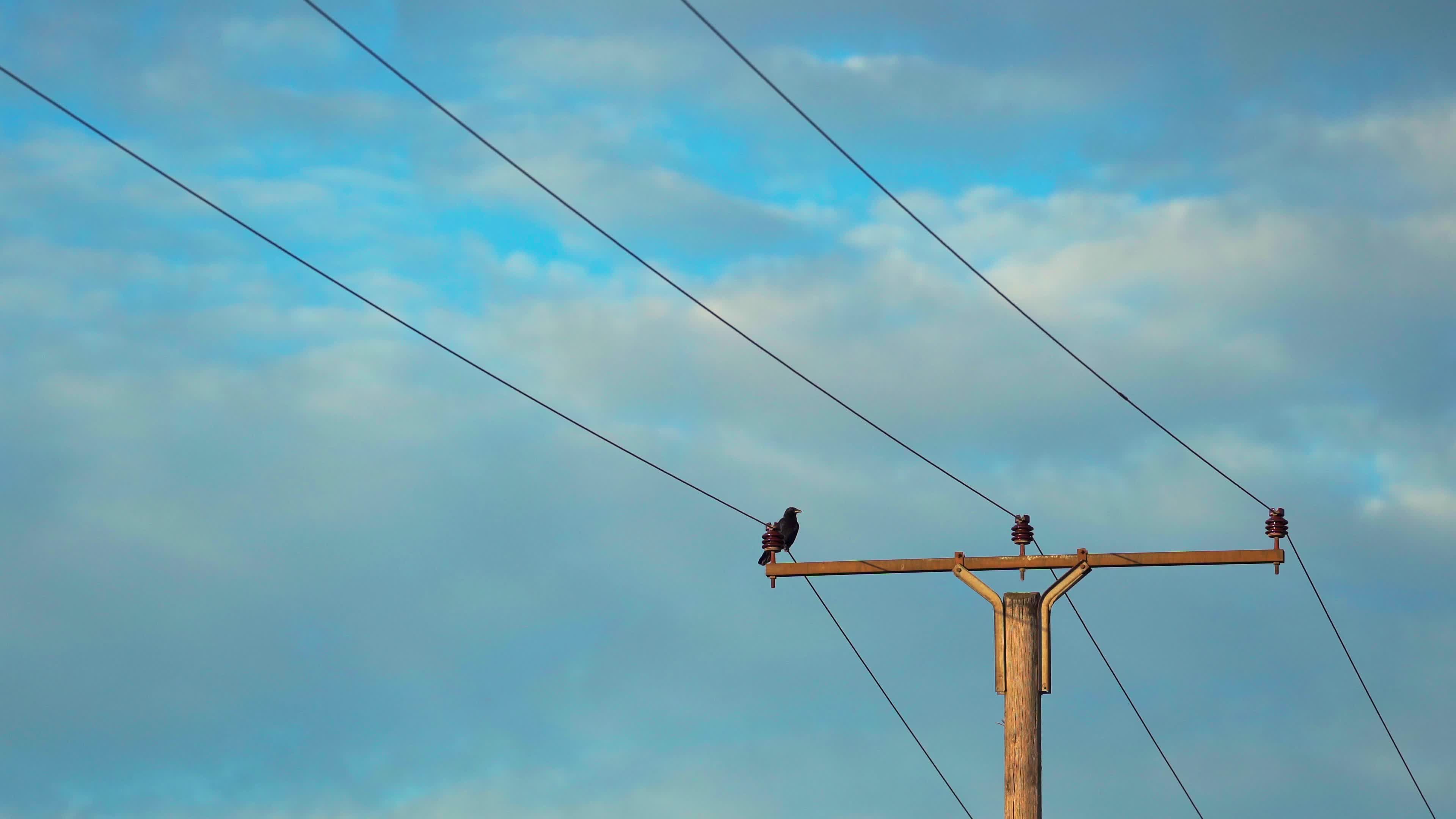 Electricity Reliability Videos Download The Best Free 4k Stock Video