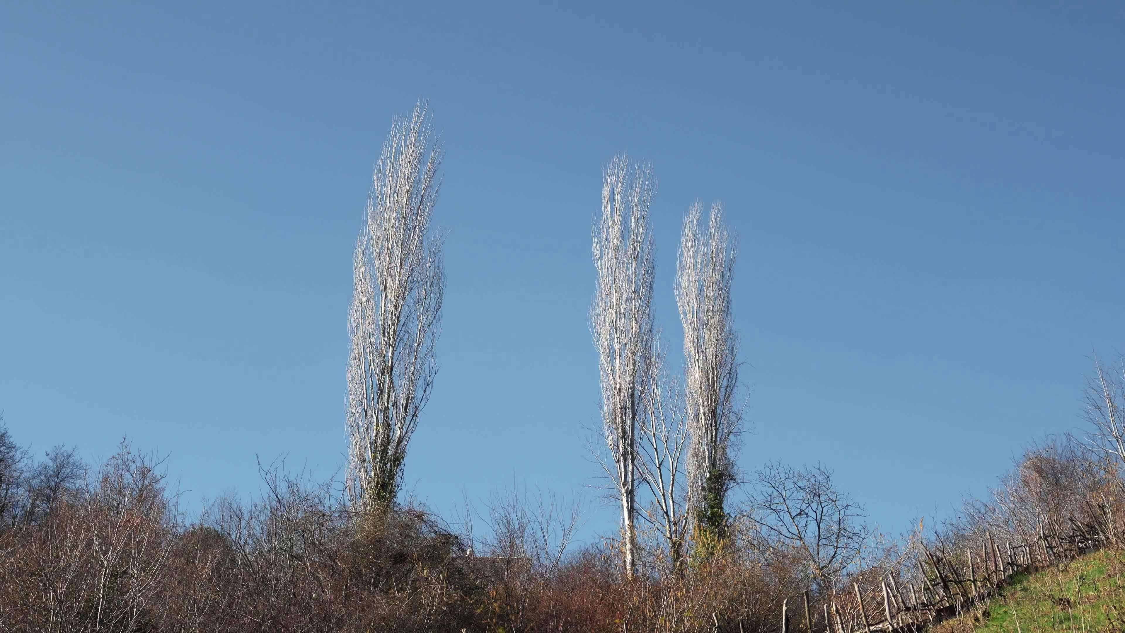 Alfa+Texture Videos, Download The BEST Free 4k Stock Video Footage ...