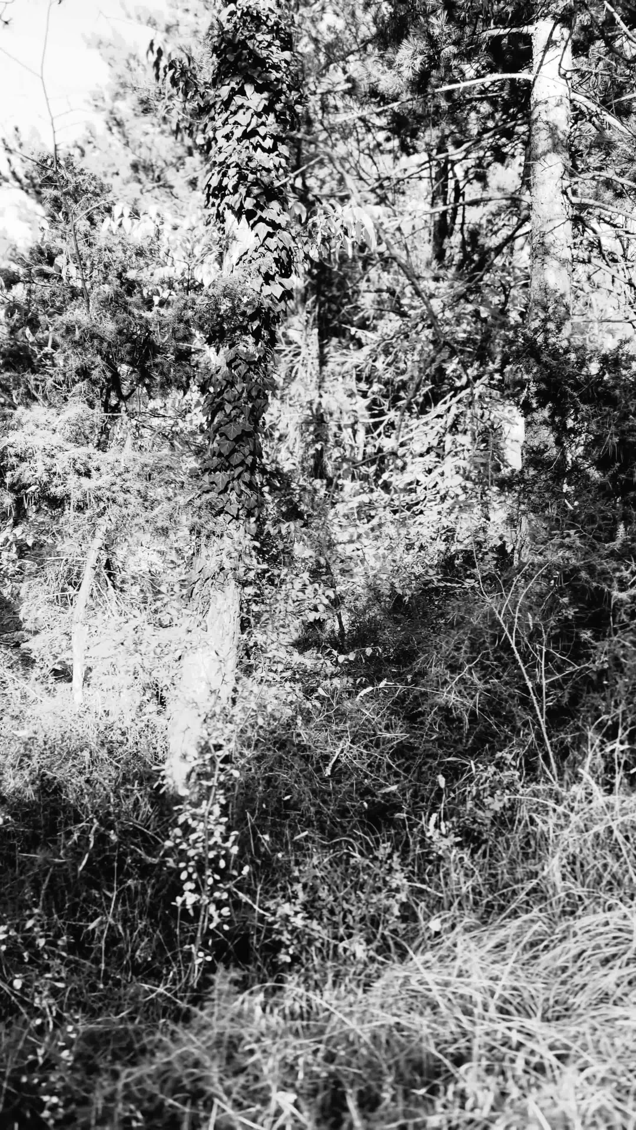 Women+In+Boundage Videos, Download The BEST Free 4k Stock Video Footage ...