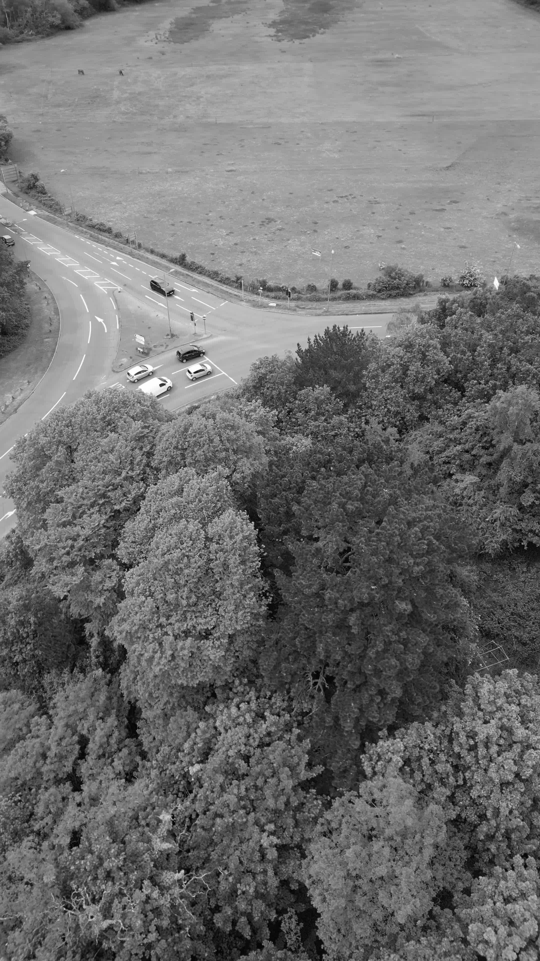 Spb Region Videos, Download The BEST Free 4k Stock Video Footage & Spb ...