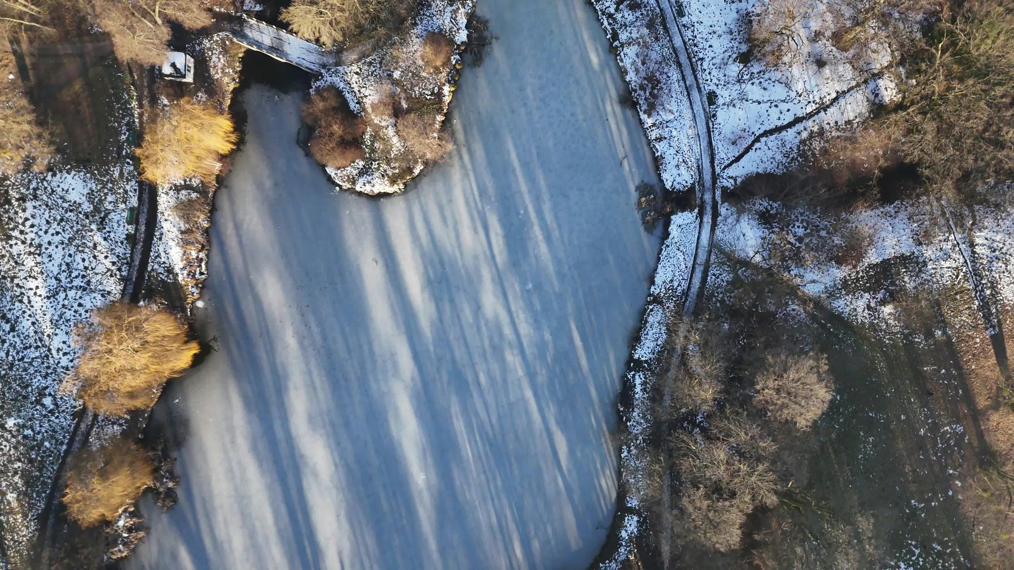 Forest Landscope Videos, Download The BEST Free 4k Stock Video Footage ...