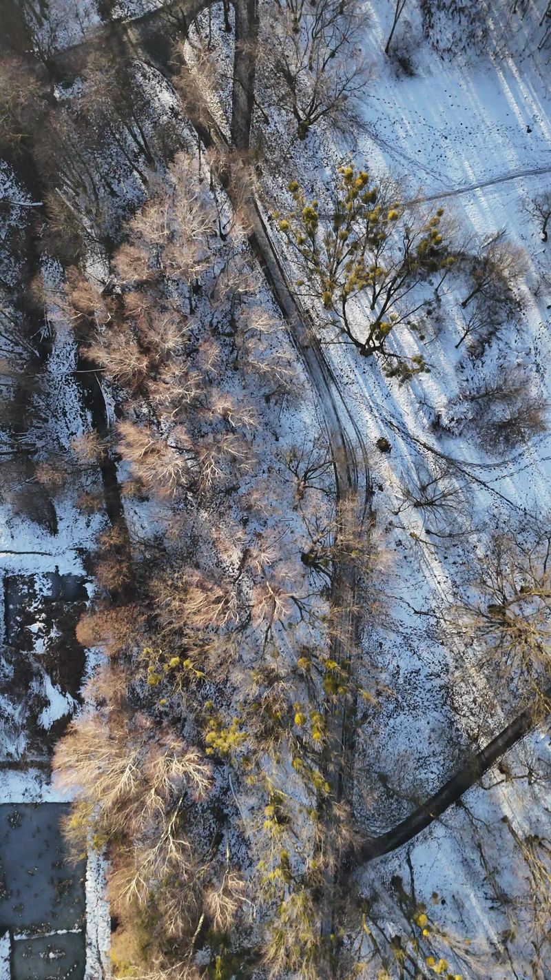 Beautiful Scenery Drone Videos, Download The BEST Free 4k Stock Video ...