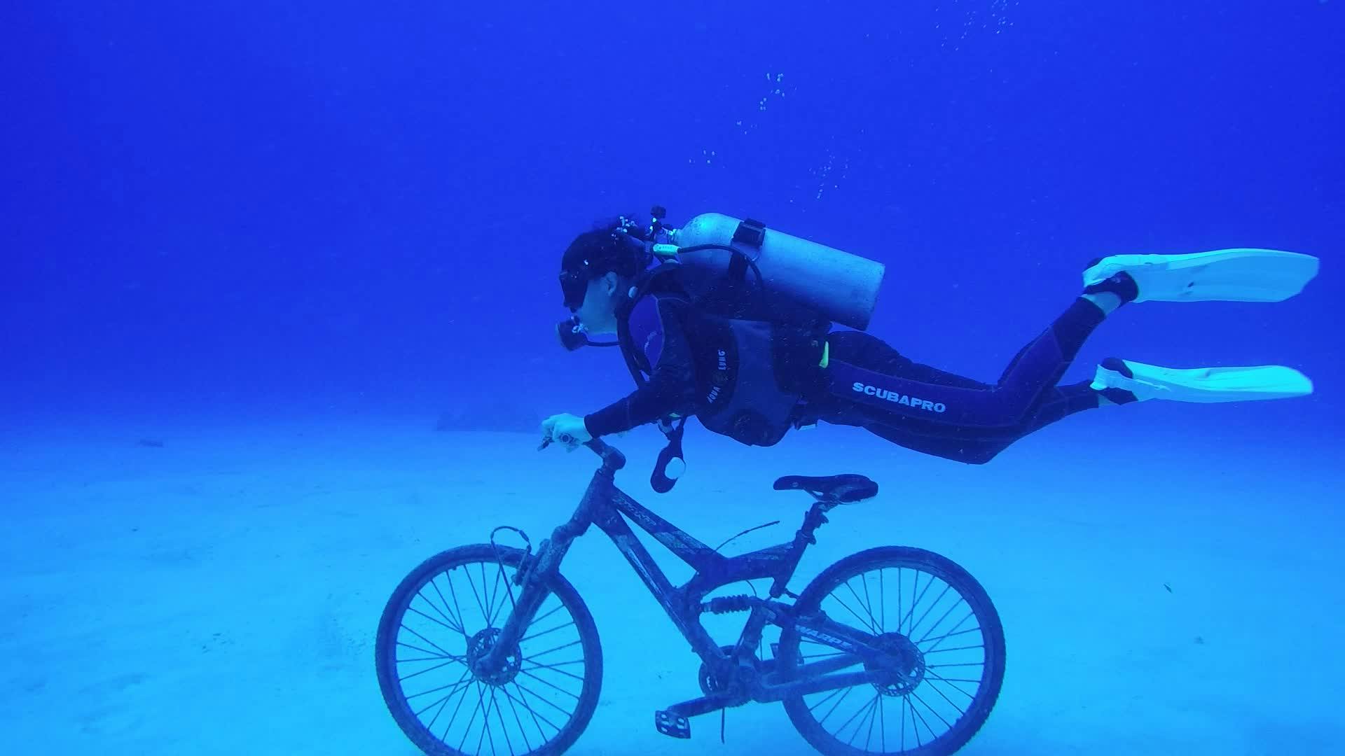 Cycle Underwater Videos, Download The BEST Free 4k Stock Video Footage ...