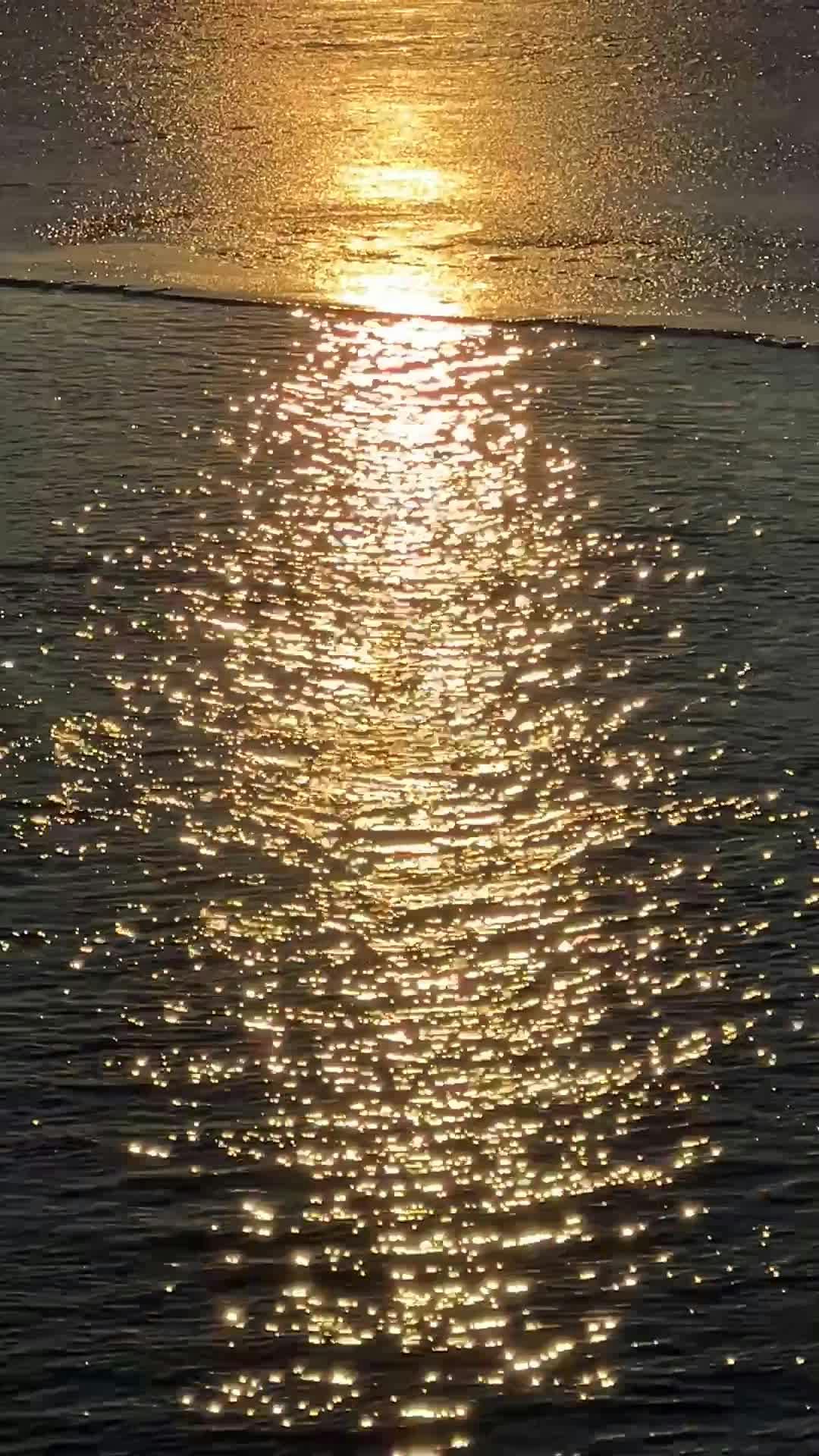 Indie Gold Videos, Download The BEST Free 4k Stock Video Footage ...