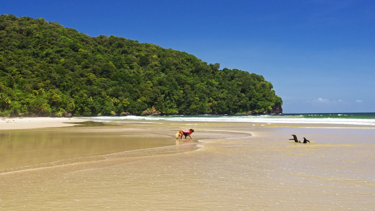 Beach+Creepshots Videos, Download The BEST Free 4k Stock Video Footage ...