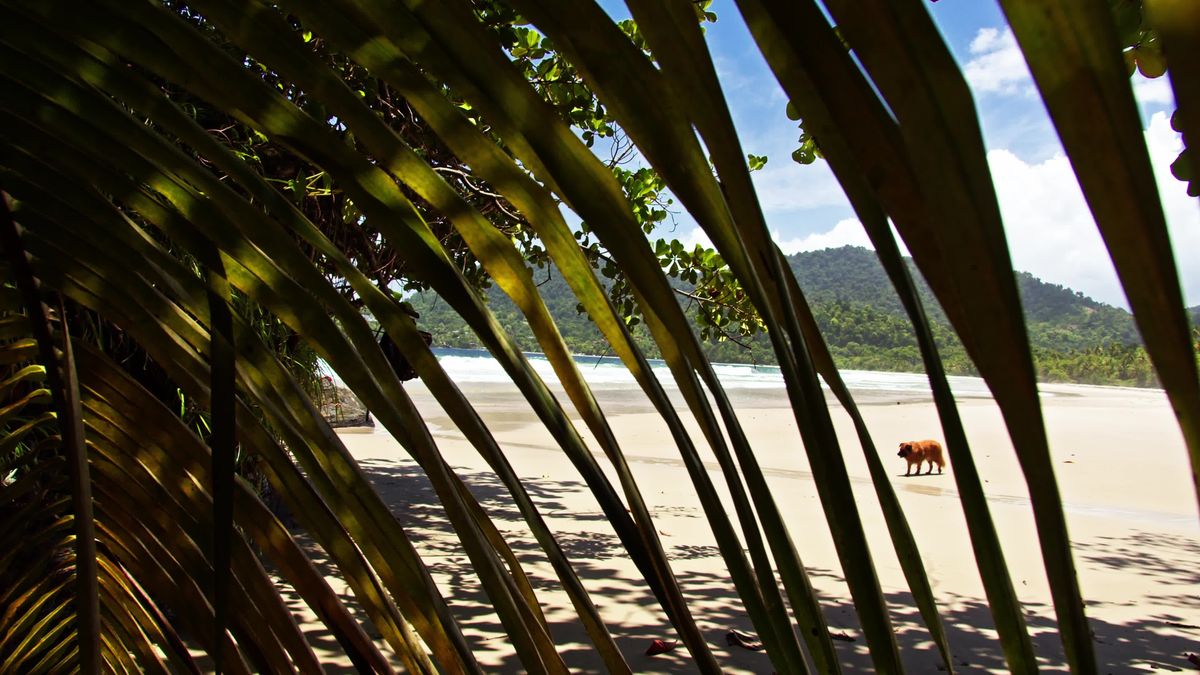 Beach+Creepshots Videos, Download The BEST Free 4k Stock Video Footage ...