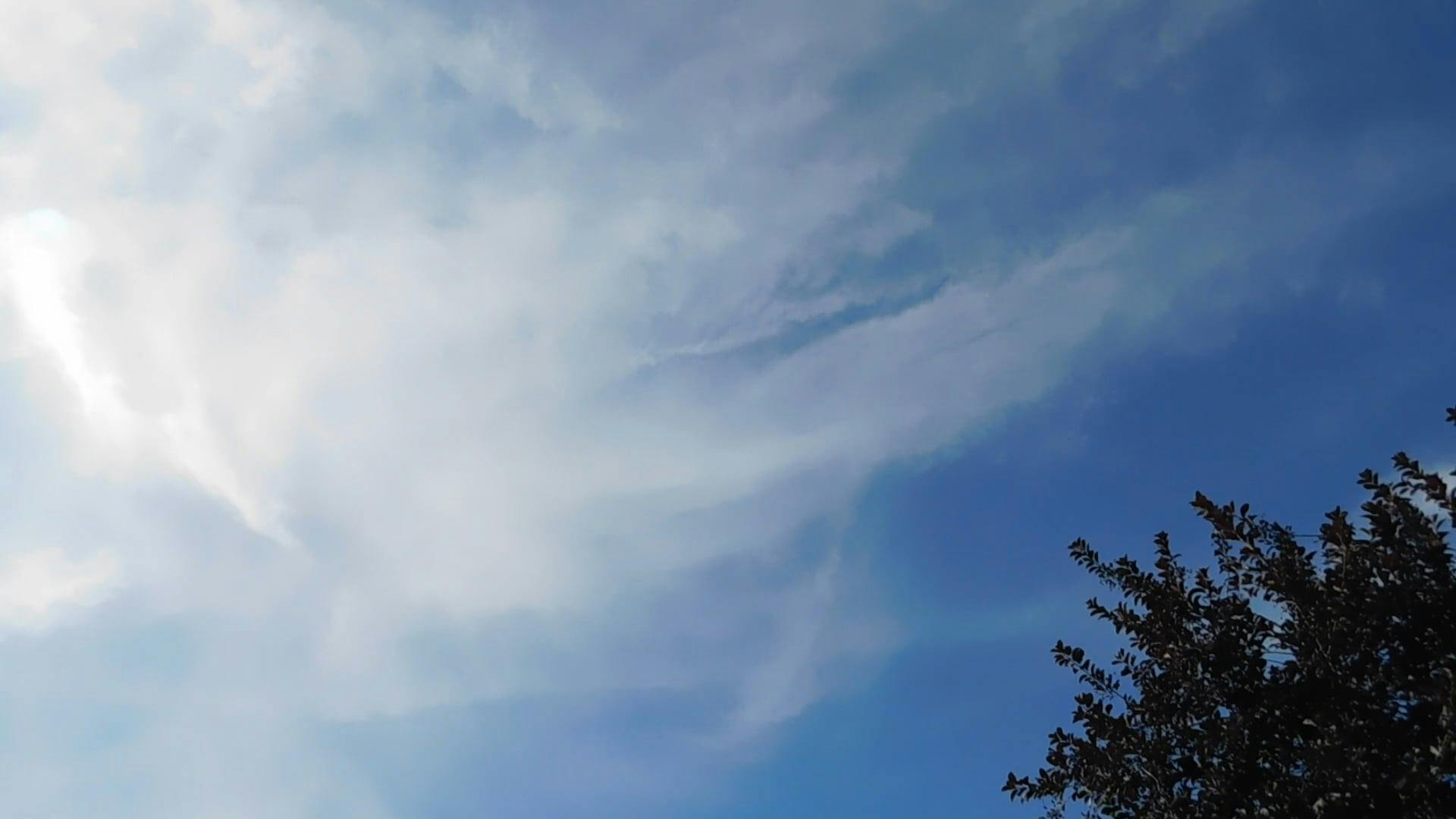 Blue Sky Video Free Stock Video Footage, Royalty-Free 4K & HD Video Clip