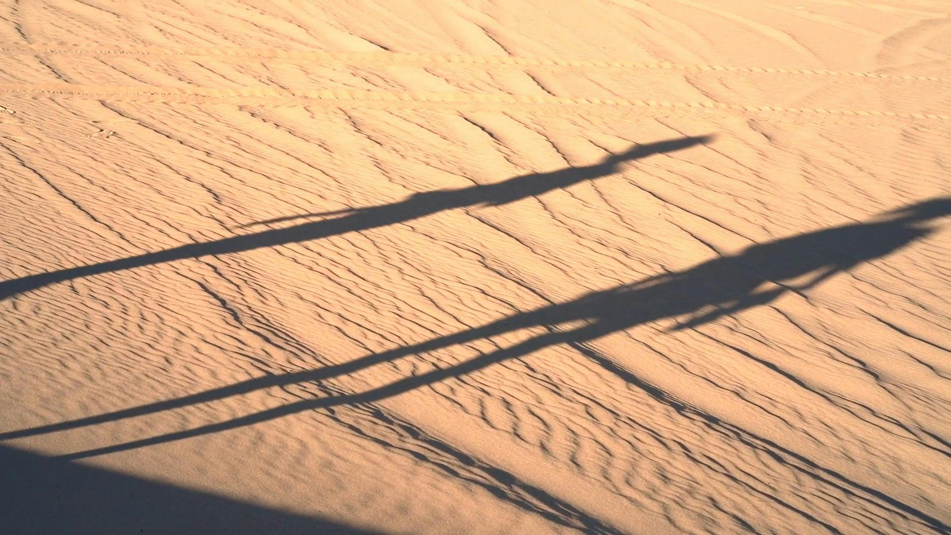 Simple Walking Videos, Download The BEST Free 4k Stock Video Footage ...