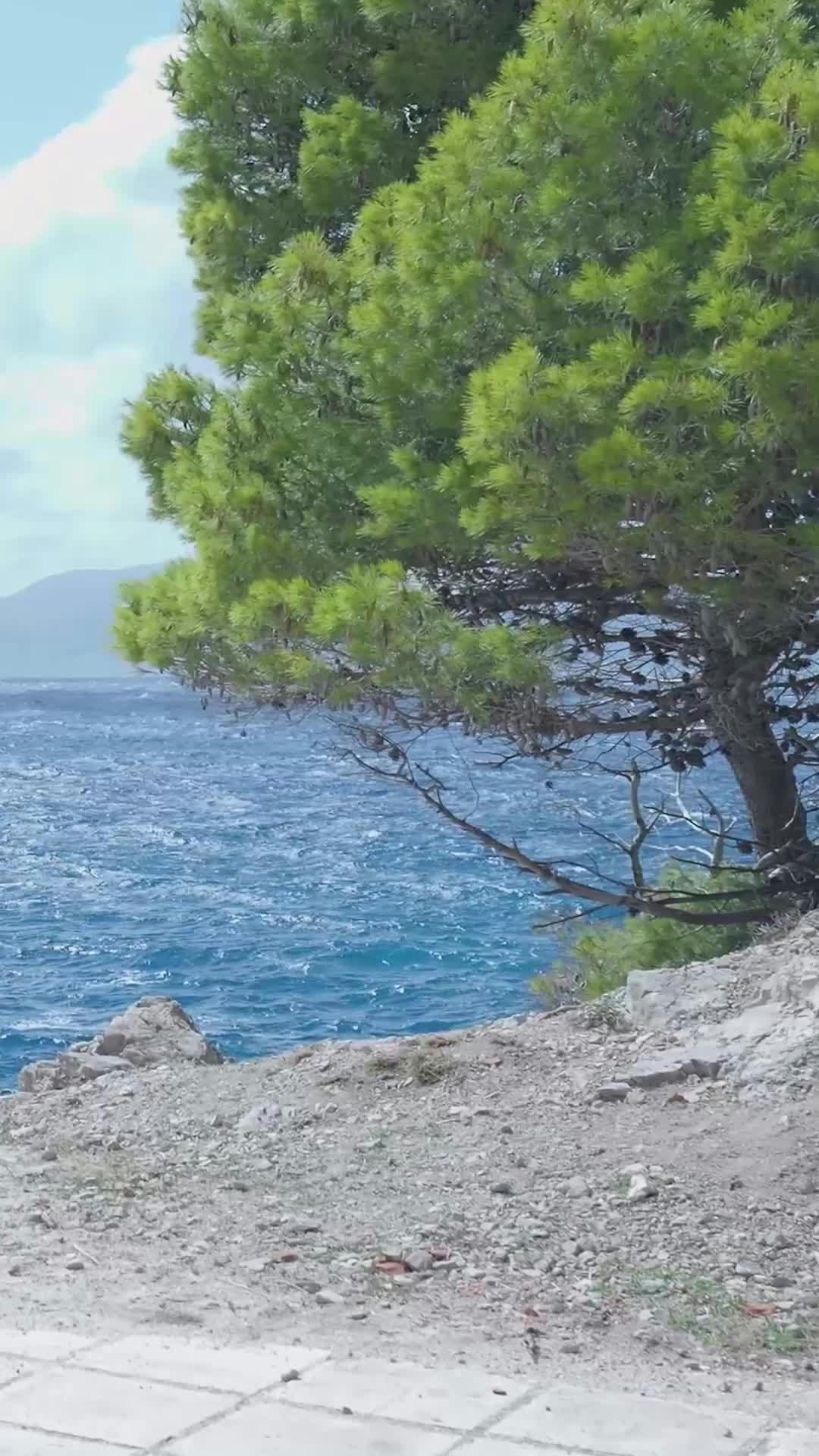 Natural Scenes Videos, Download The BEST Free 4k Stock Video Footage ...