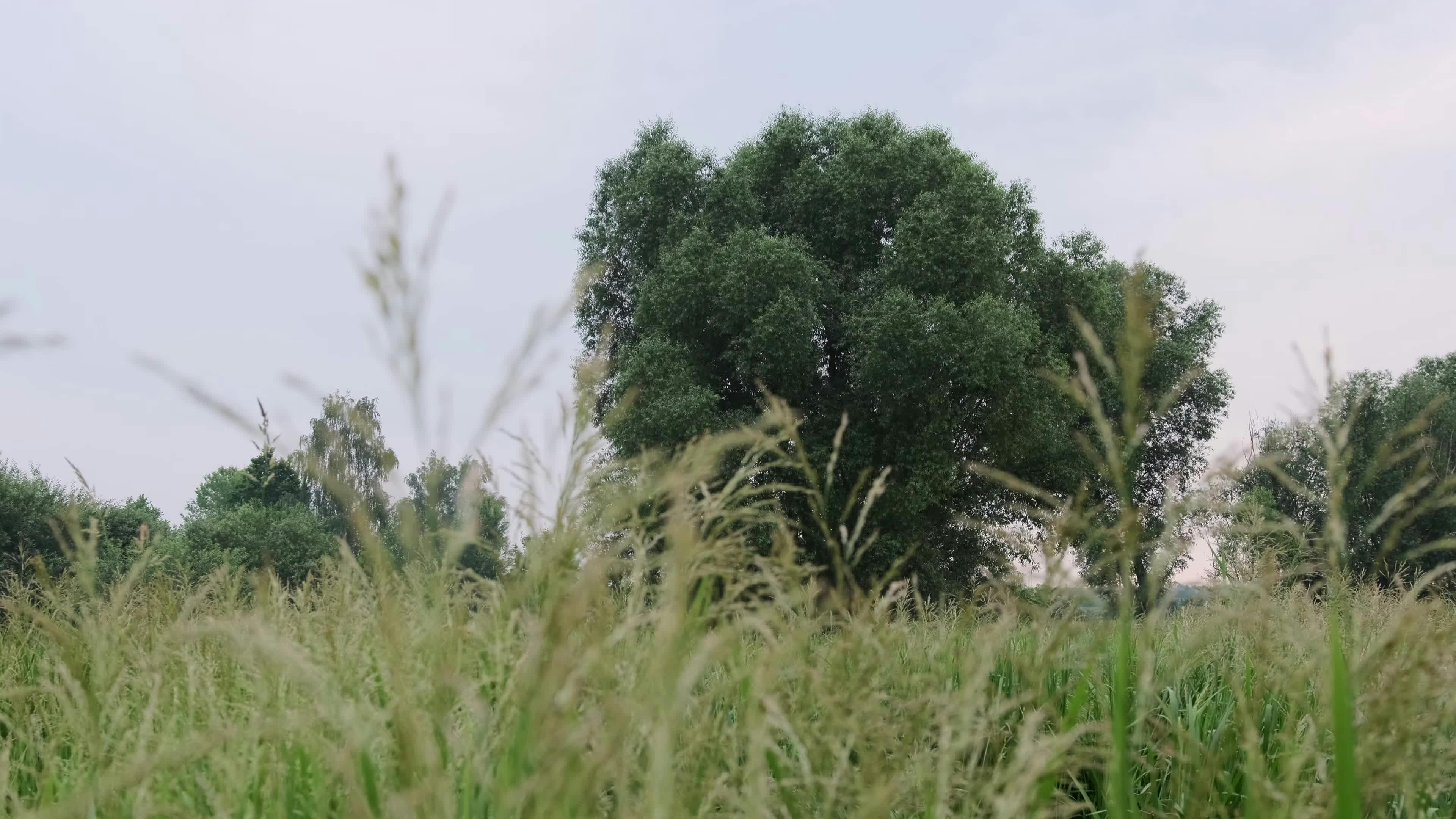 Sky Cinematic Videos, Download The BEST Free 4k Stock Video Footage ...