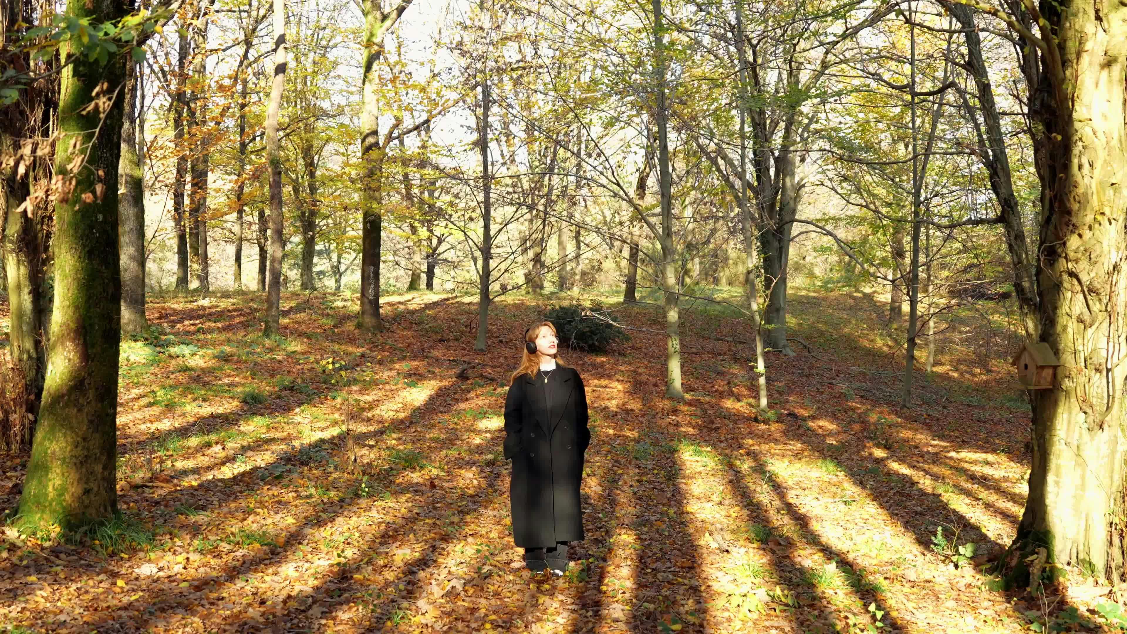 Brown Backround Videos, Download The BEST Free 4k Stock Video Footage ...