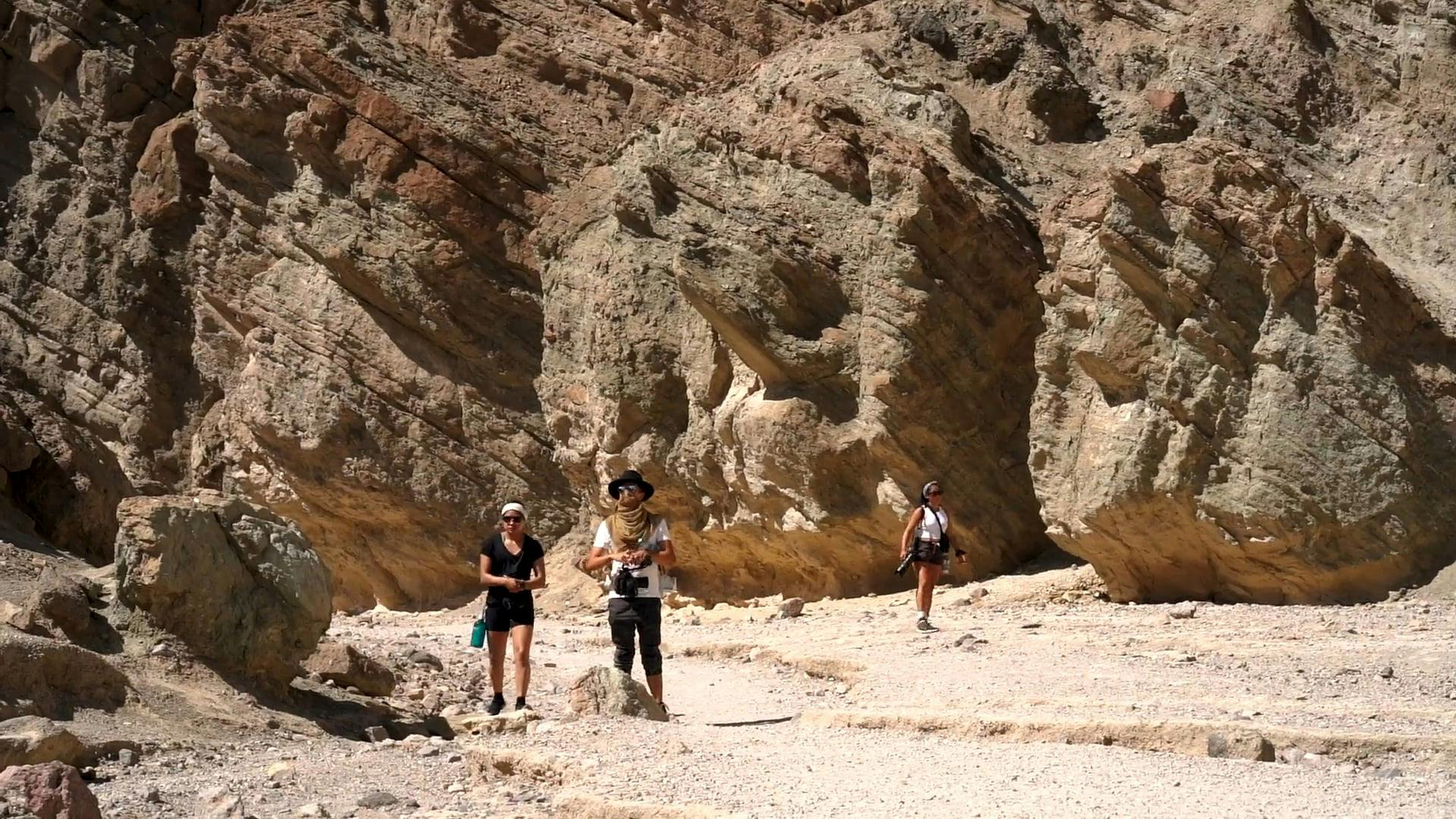 Person Walking Towards Camera Full Body Videos, Download The BEST Free ...