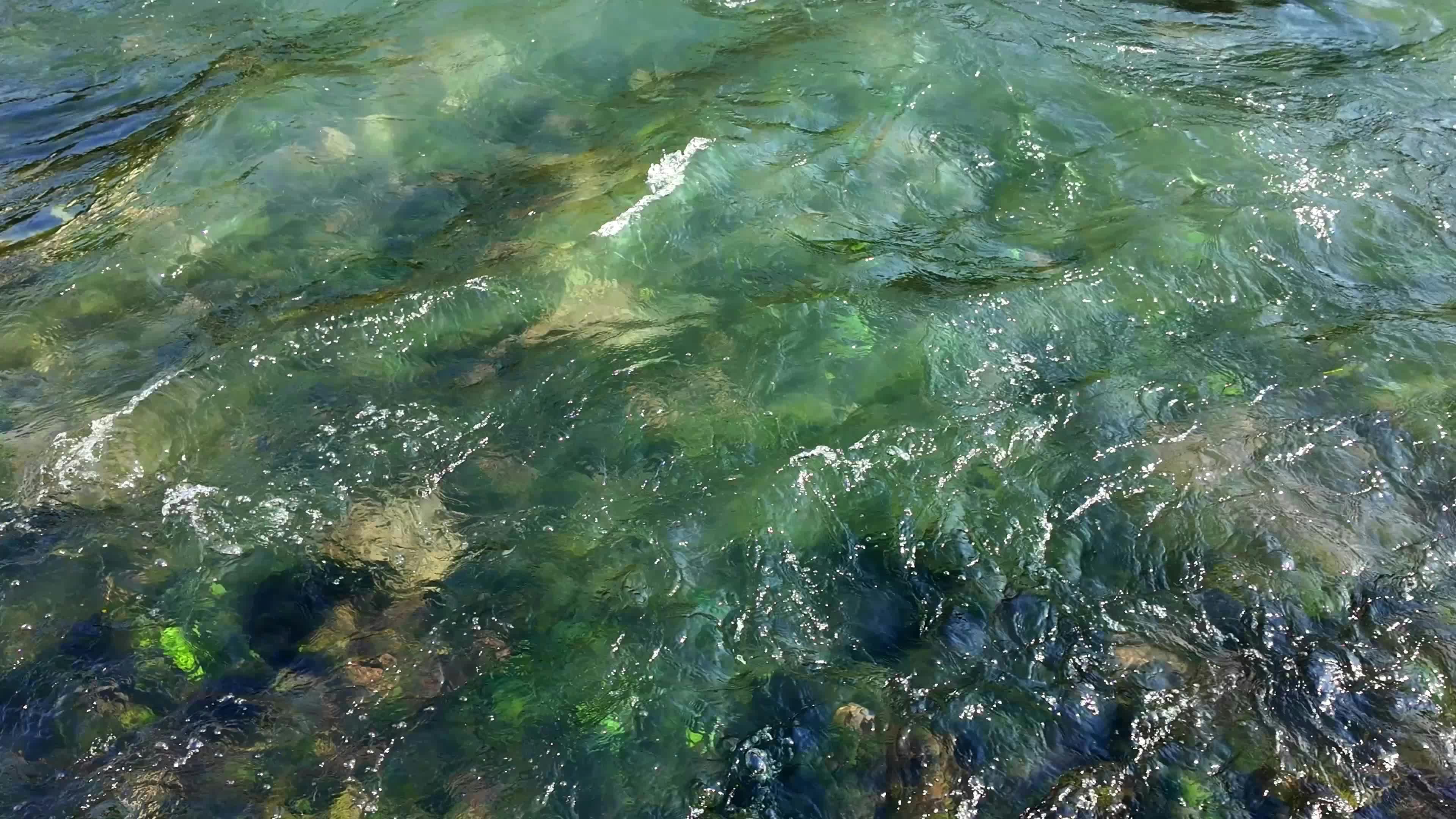 169 Background Videos, Download The BEST Free 4k Stock Video Footage ...