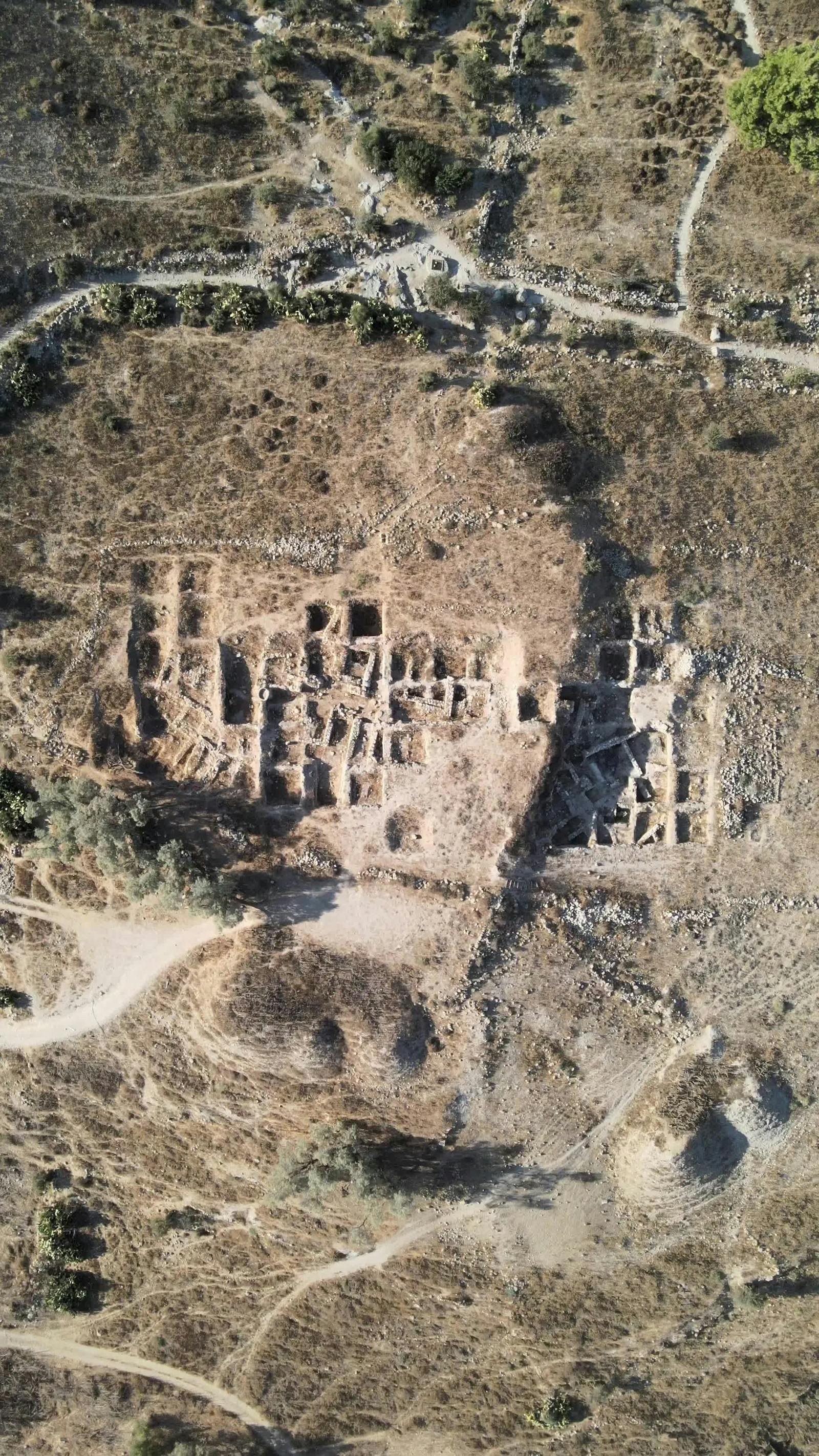 Deforestation Videos, Download The BEST Free 4k Stock Video Footage ...