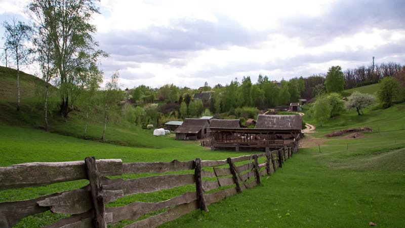 Cute+Girl+On+Symbian Videos, Download The BEST Free 4k Stock Video ...