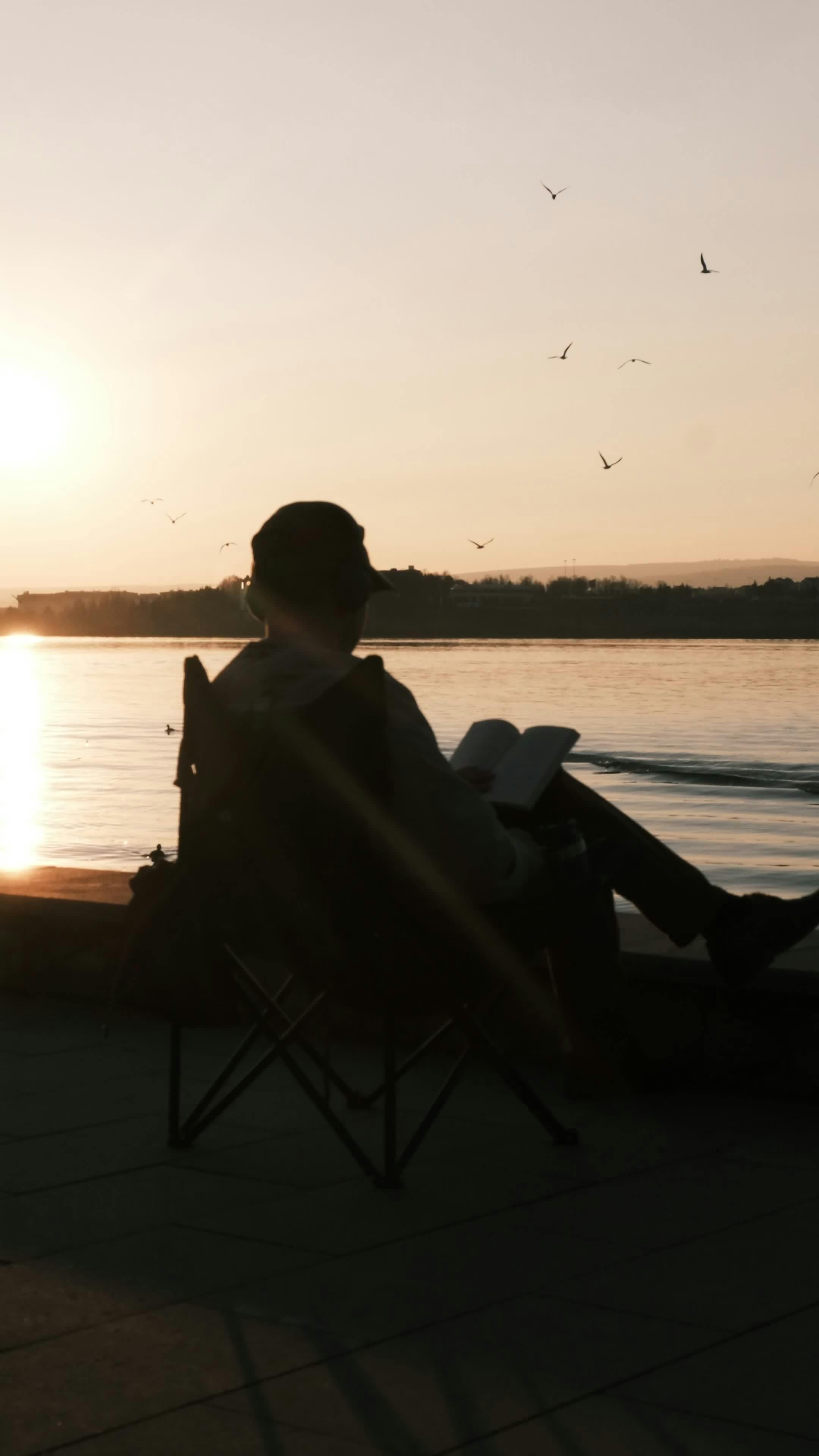 Peaceful Sunset Reading by the Lake Free Stock Video Footage, Royalty ...