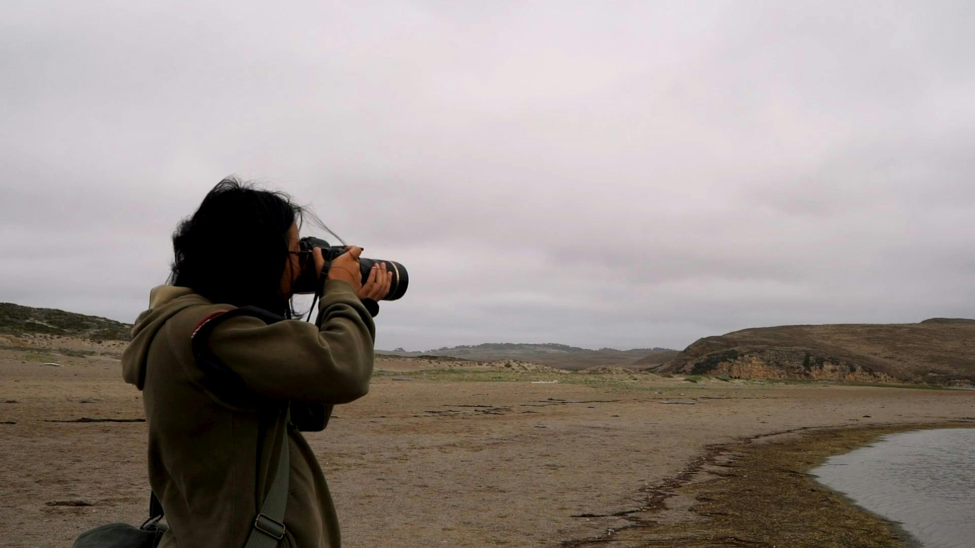 Digital Landscape Videos, Download The BEST Free 4k Stock Video Footage ...