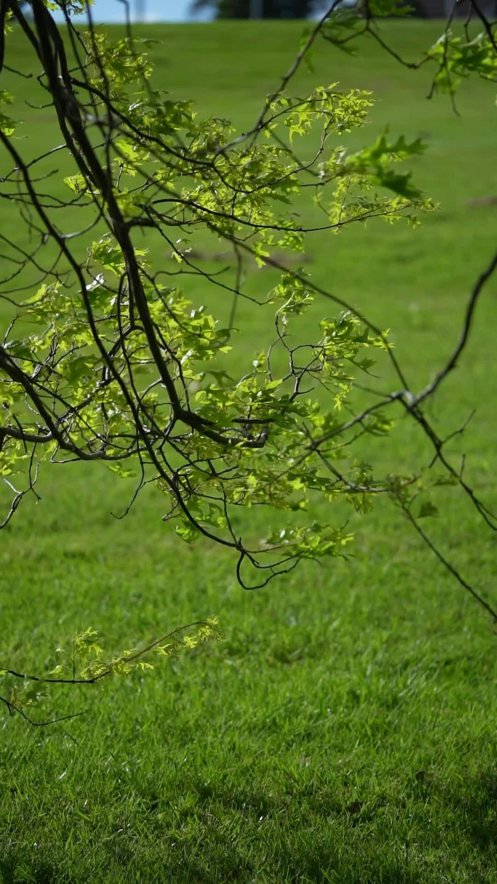 Short Clips Videos, Download The BEST Free 4k Stock Video Footage ...