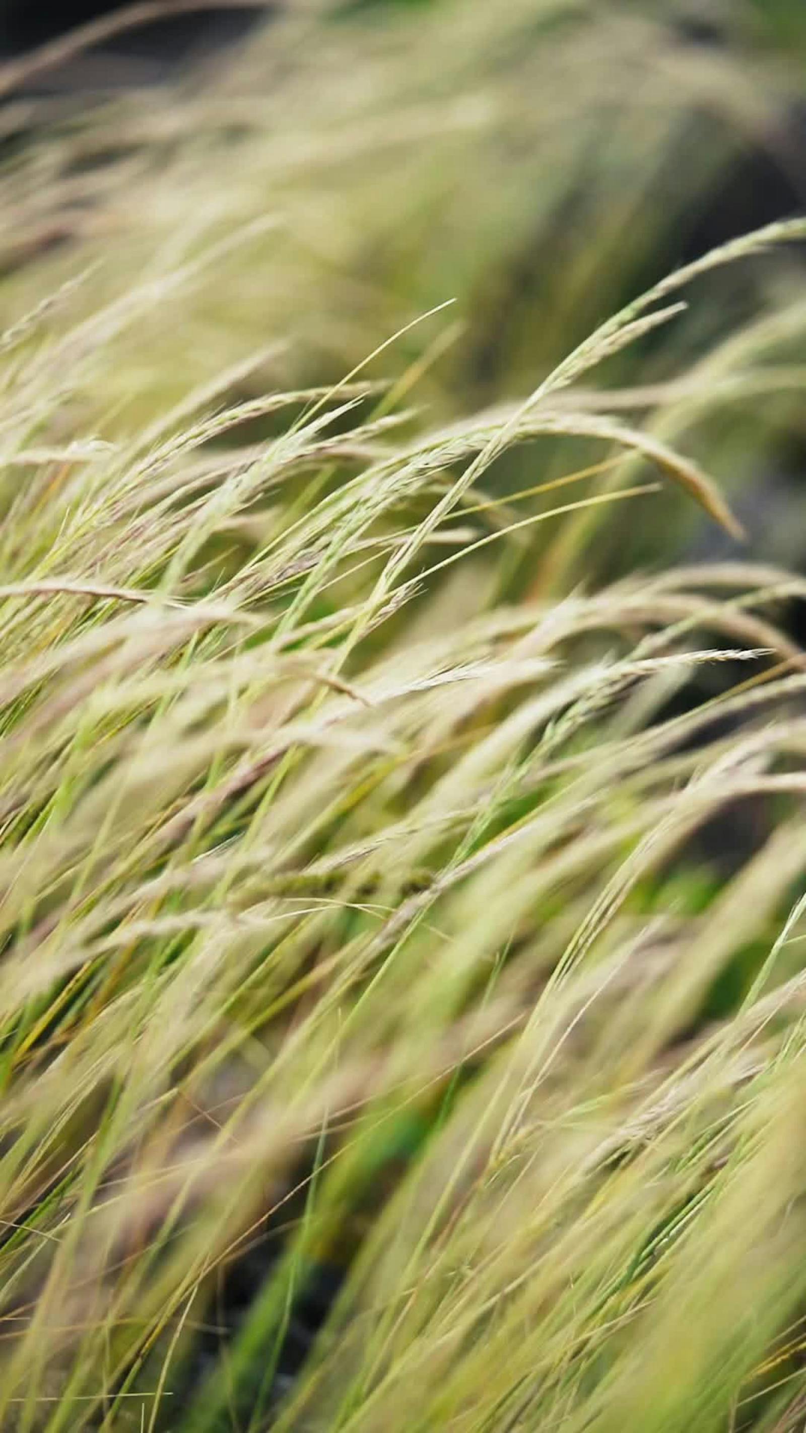 Short Clips Videos, Download The BEST Free 4k Stock Video Footage ...