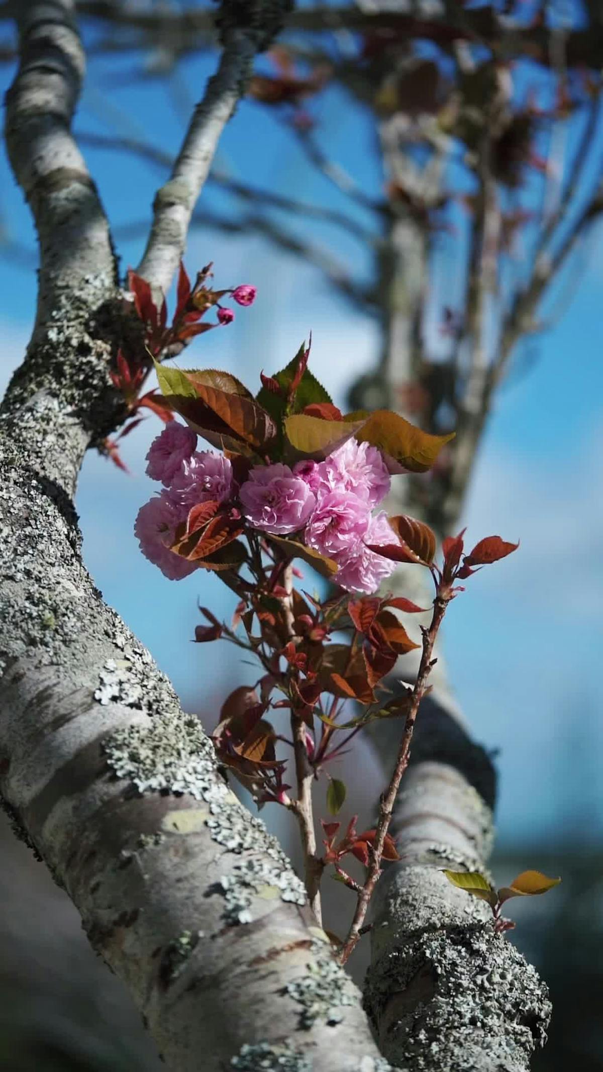 Short Reels Videos, Download The BEST Free 4k Stock Video Footage ...