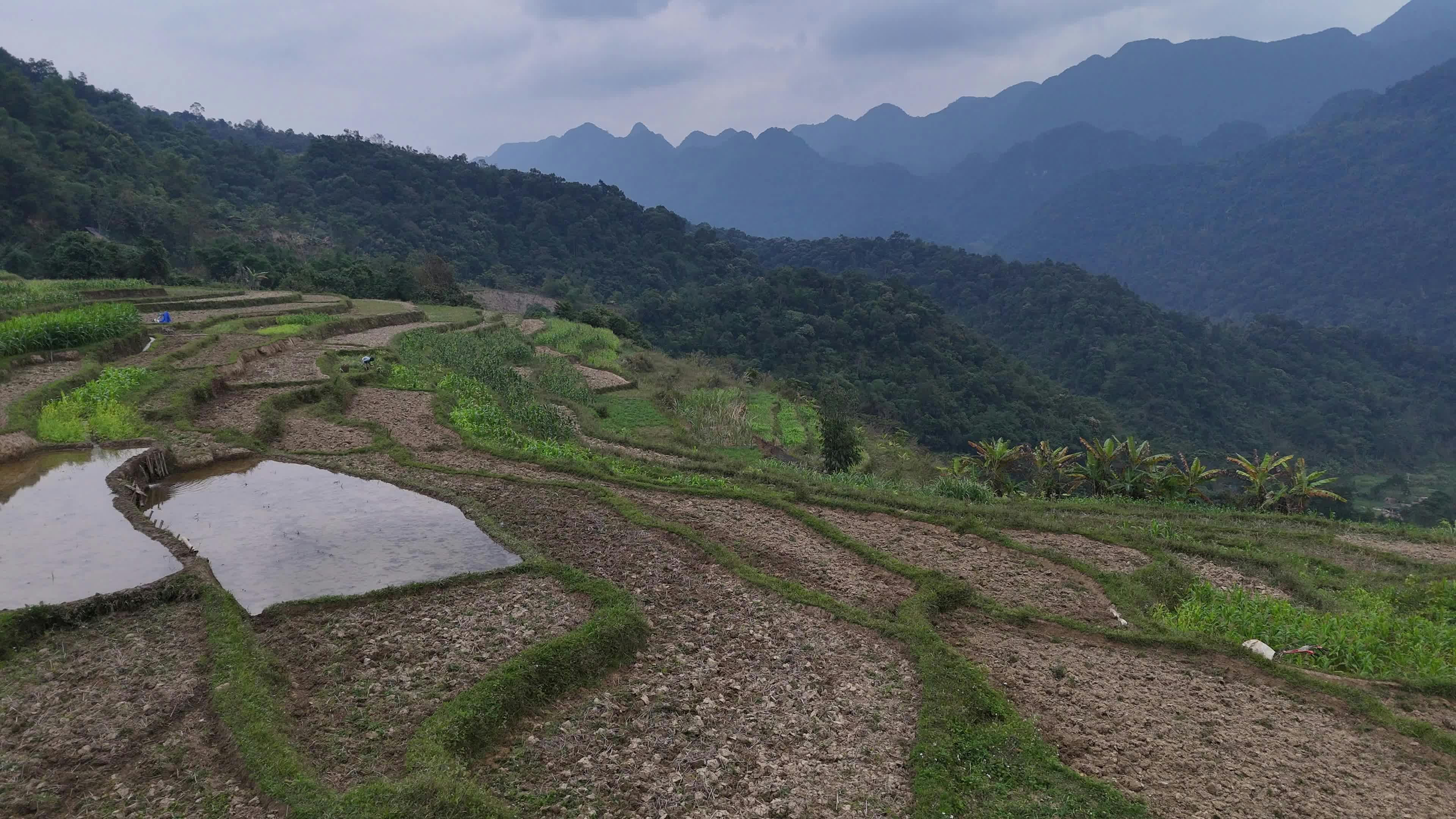 Nature Videography Videos, Download The BEST Free 4k Stock Video ...