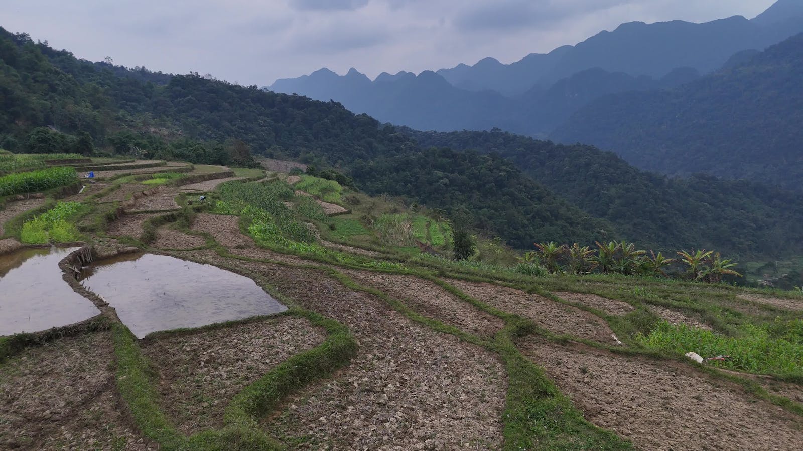 Nature Videography Videos, Download The BEST Free 4k Stock Video ...