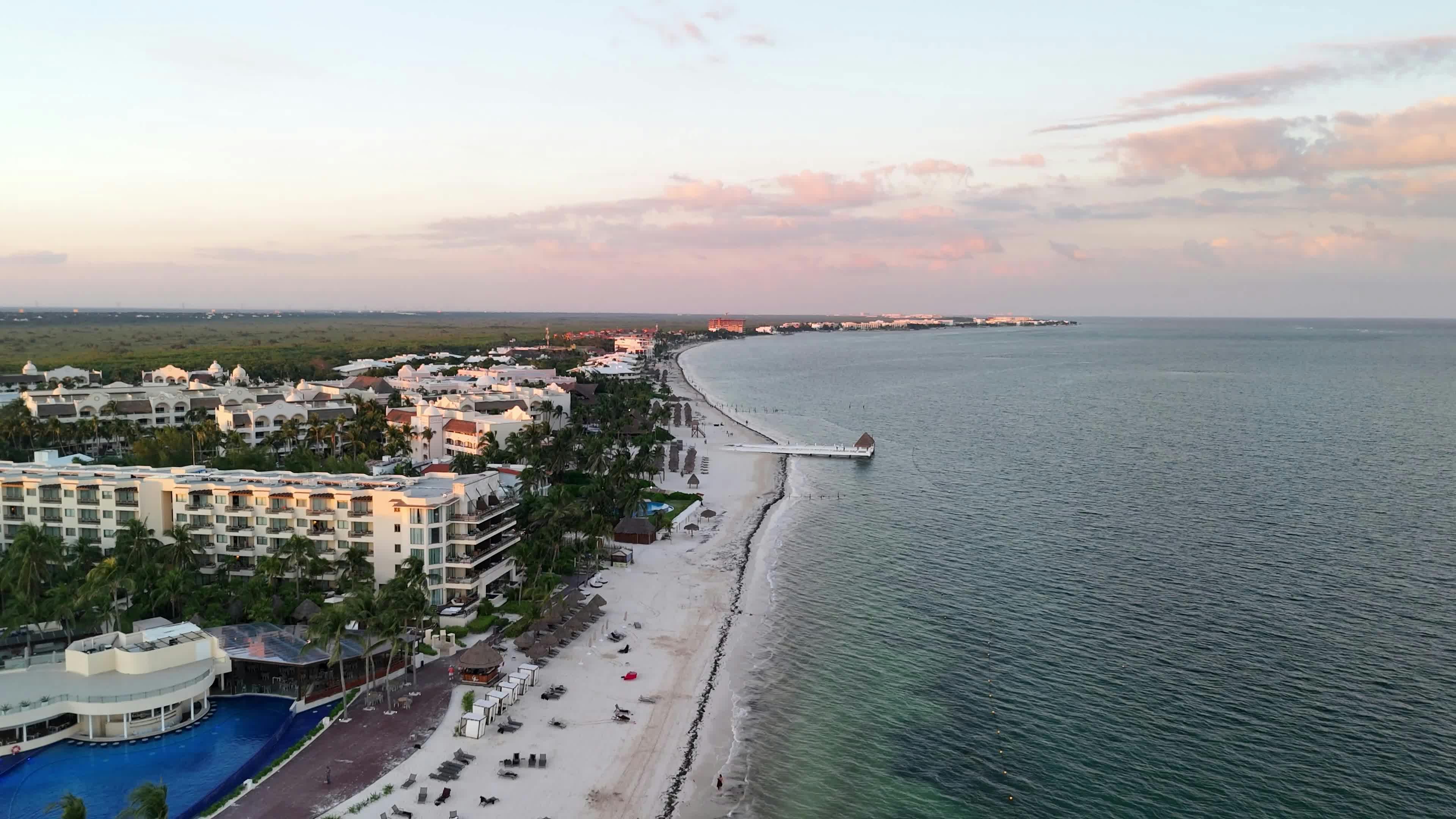 Ac Law - Photography