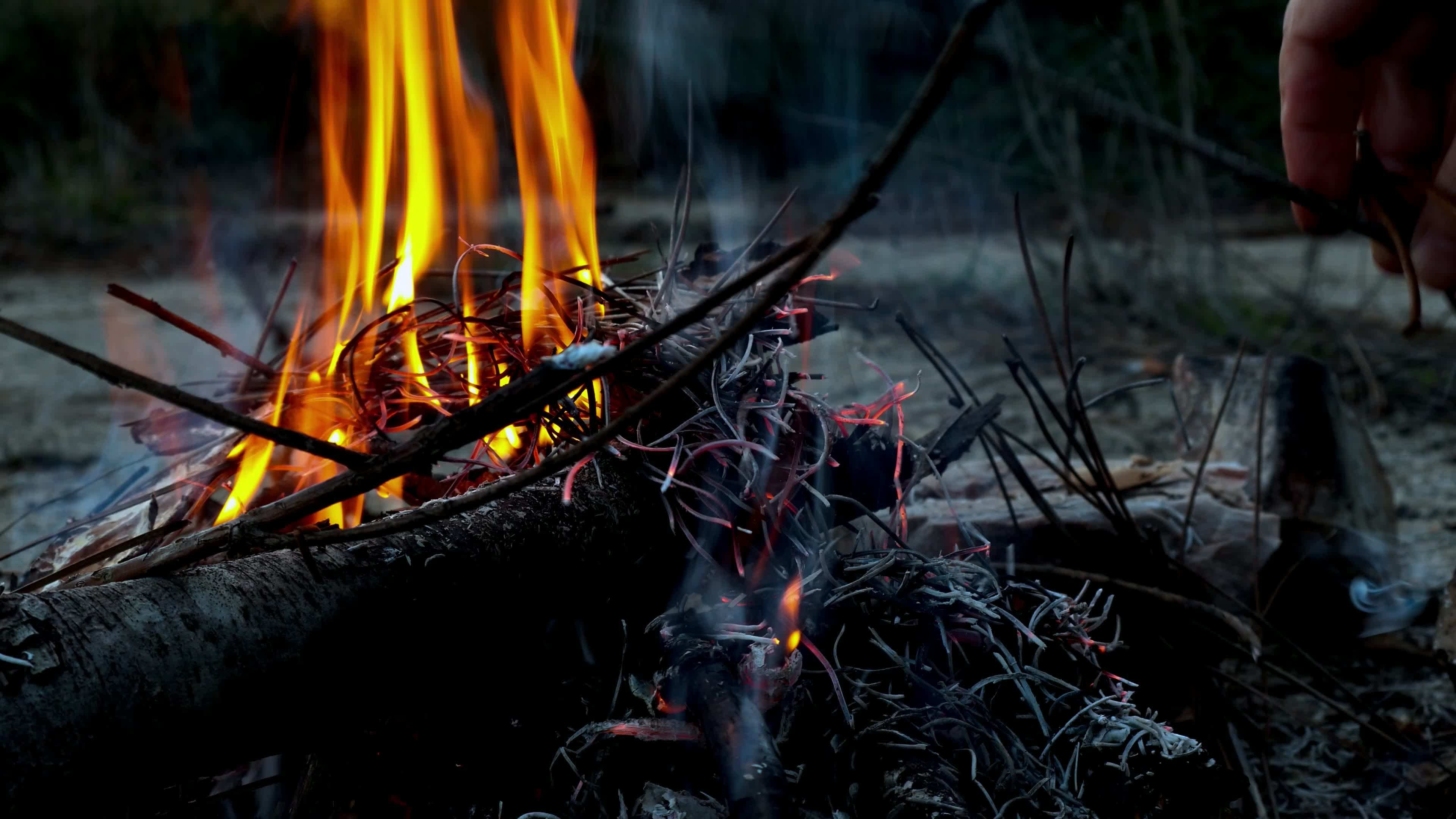 tea on the fire Free Stock Video Footage, Royalty-Free 4K & HD Video Clip
