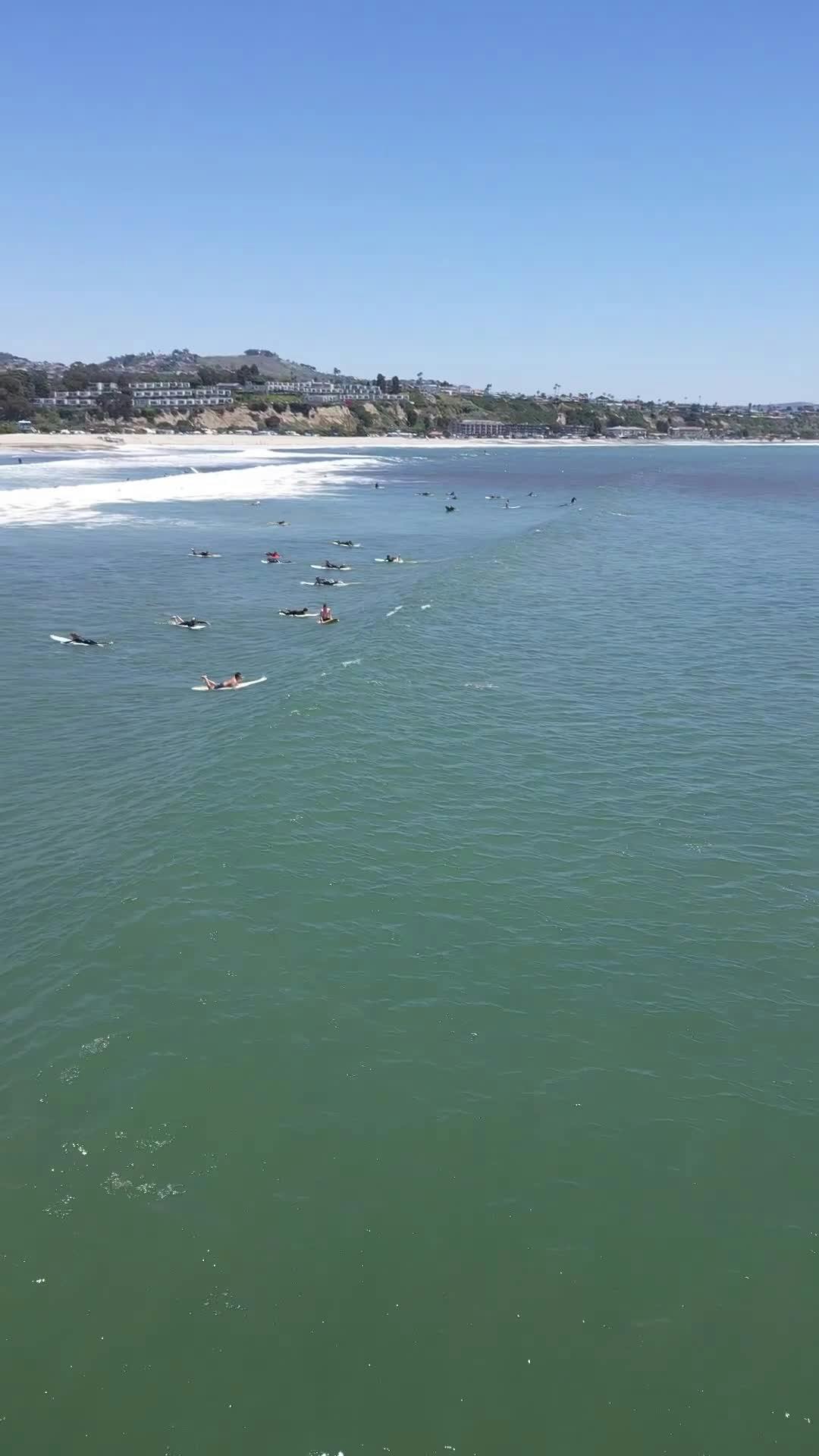 Aerial View of Surfing Scene at Dana Point Beach Free Stock Video ...