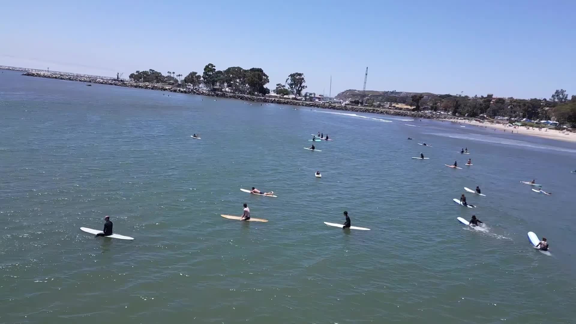 Surfers Enjoying Waves at Doheny Beach Free Stock Video Footage ...