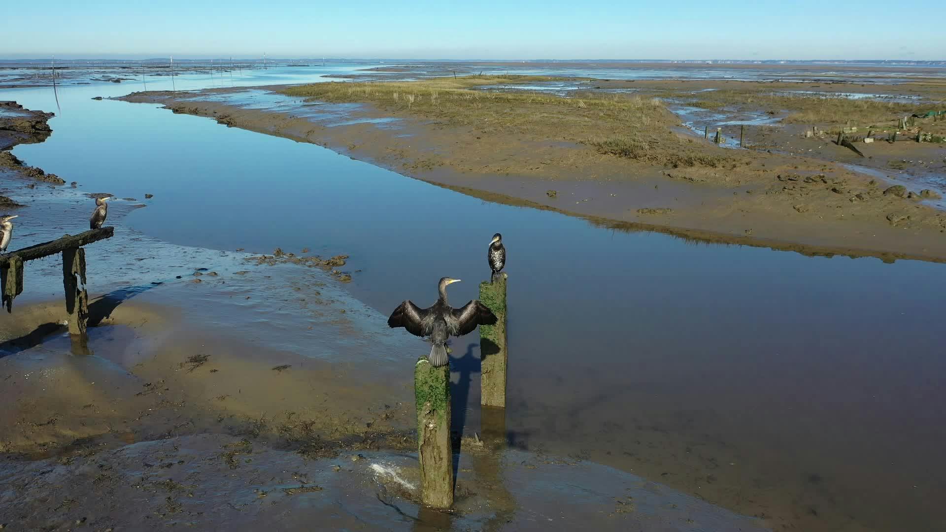 Sea Port Videos, Download The BEST Free 4k Stock Video Footage & Sea ...