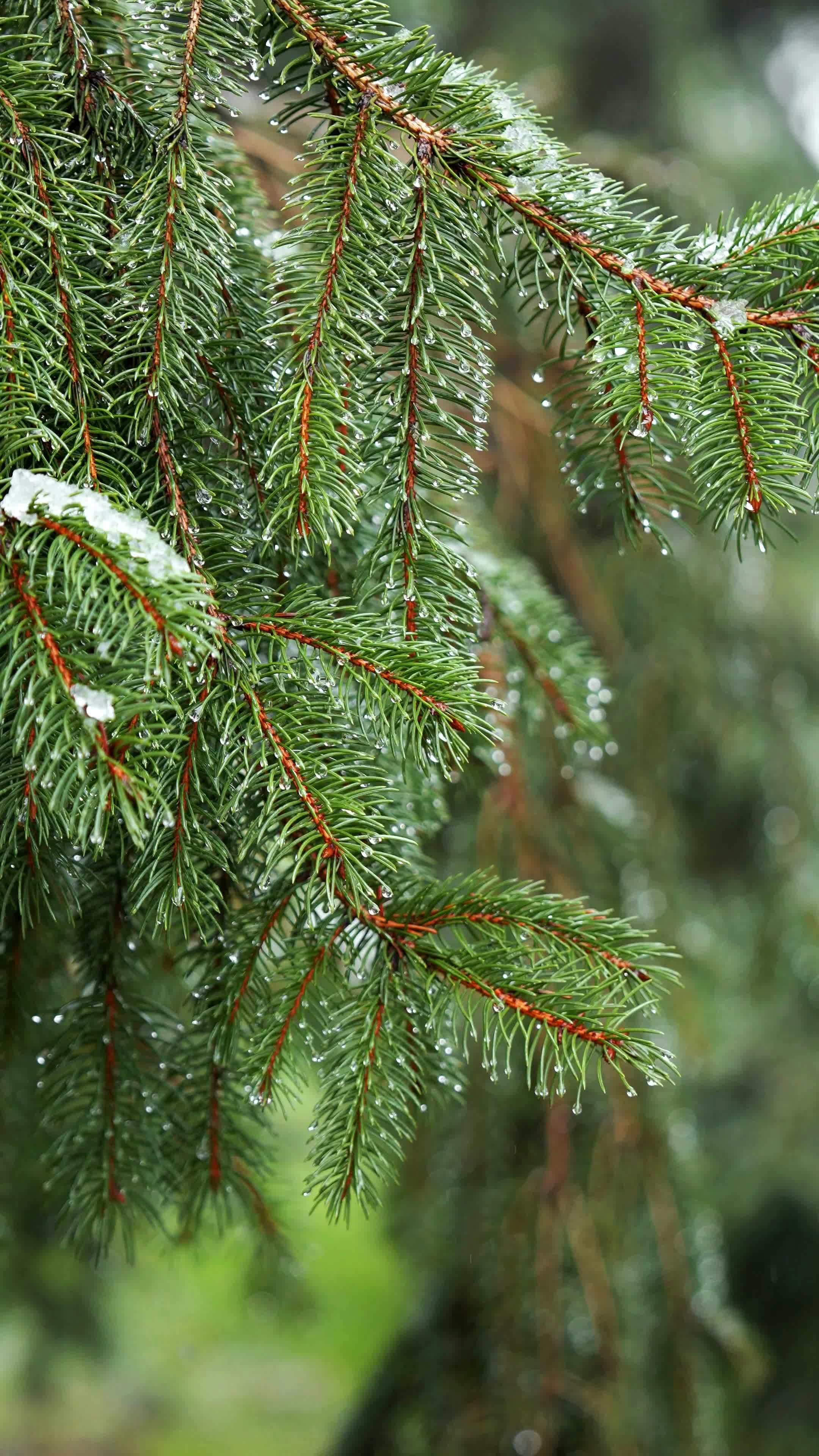 Detail Tangki Videos, Download The BEST Free 4k Stock Video Footage ...