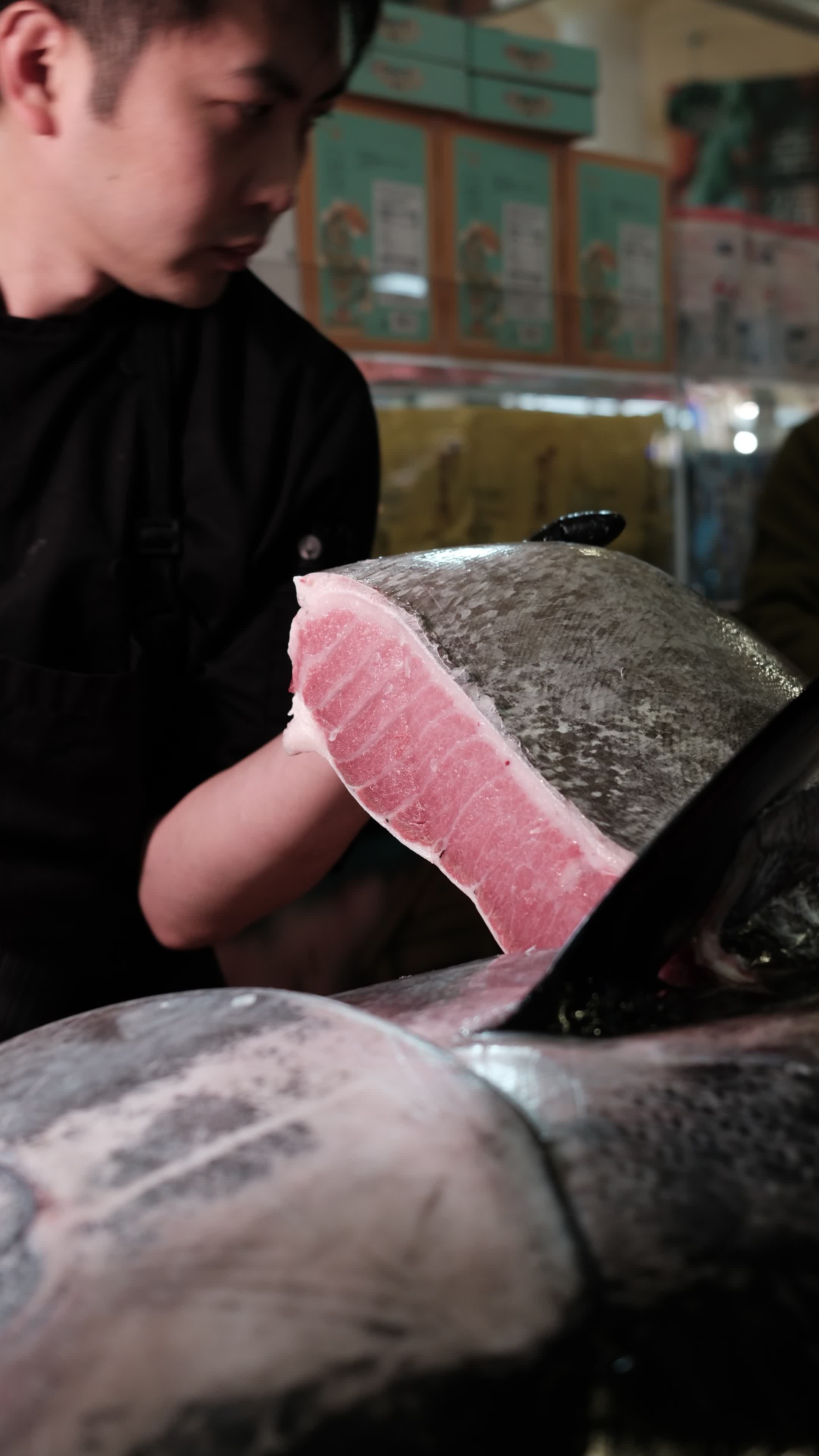 Slicing Fresh Bluefin Tuna at Market Free Stock Video Footage, Royalty ...