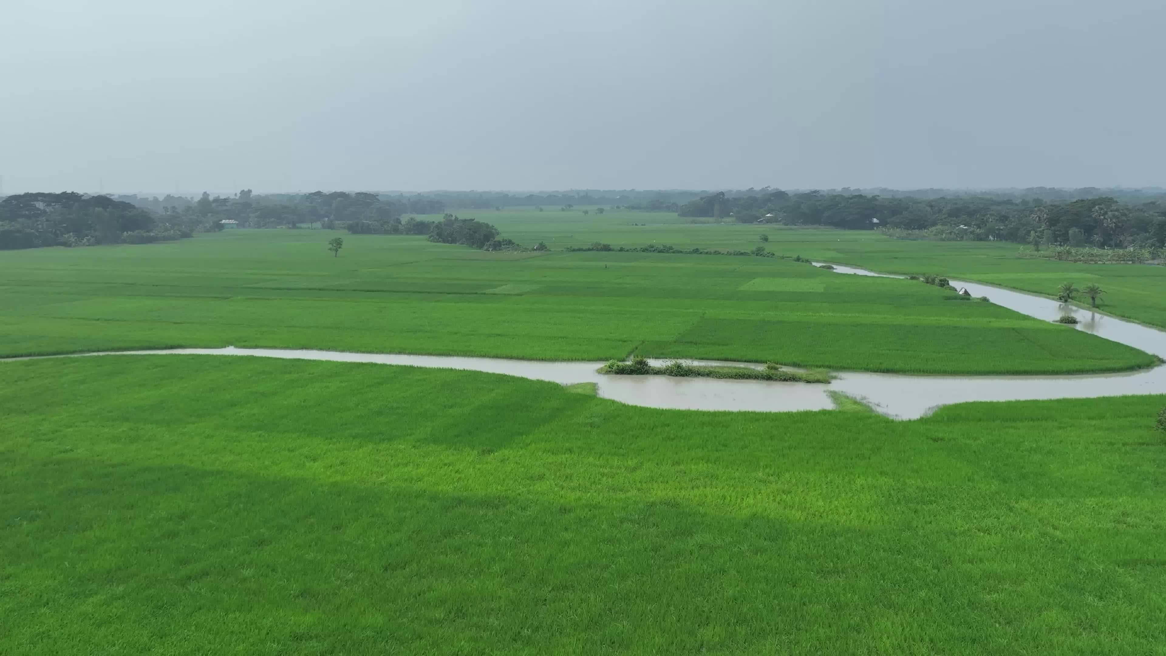 Aerial View of Lush Bangladeshi Countryside Free Stock Video Footage ...