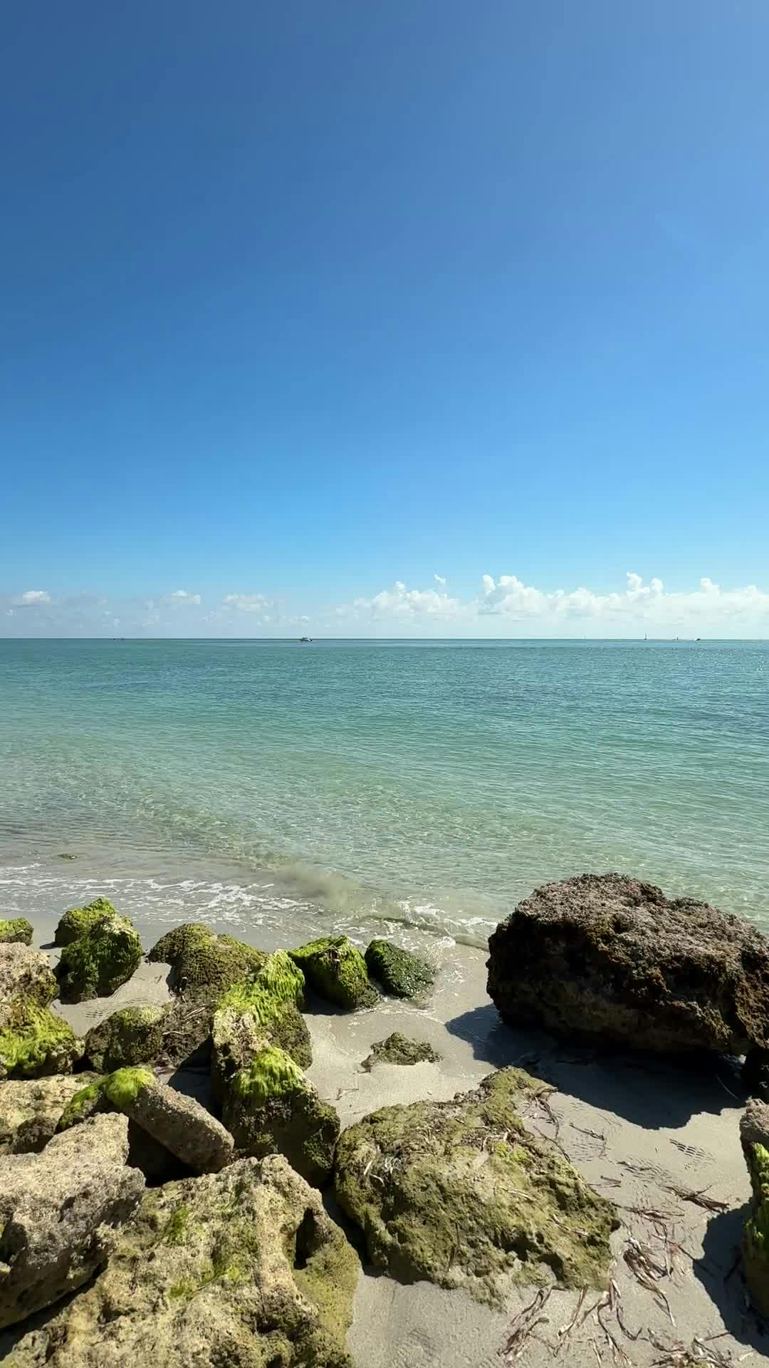 The Ocean View From The Shore Free Stock Video Footage, Royalty-Free 4K ...