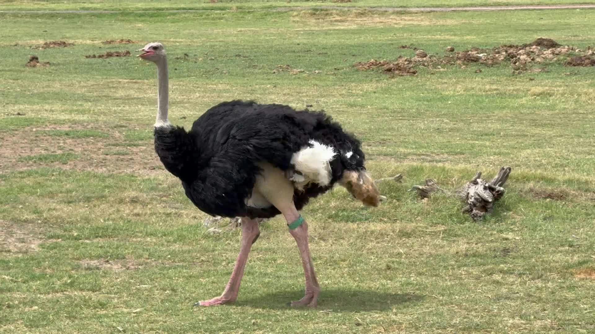 Fastest Videos, Download The BEST Free 4k Stock Video Footage & Fastest ...