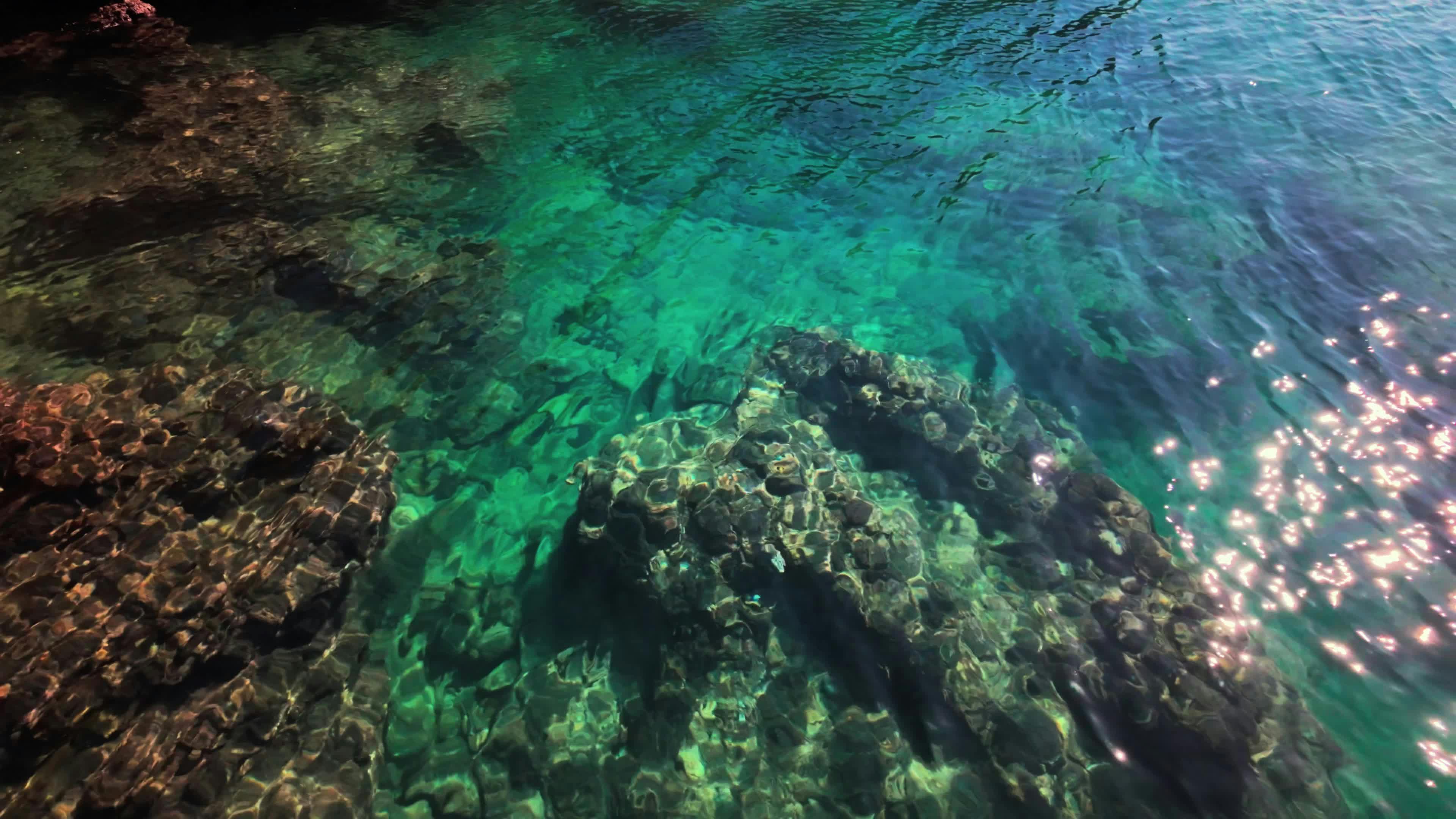 Stunning Underwater View of Coral Reefs Free Stock Video Footage ...