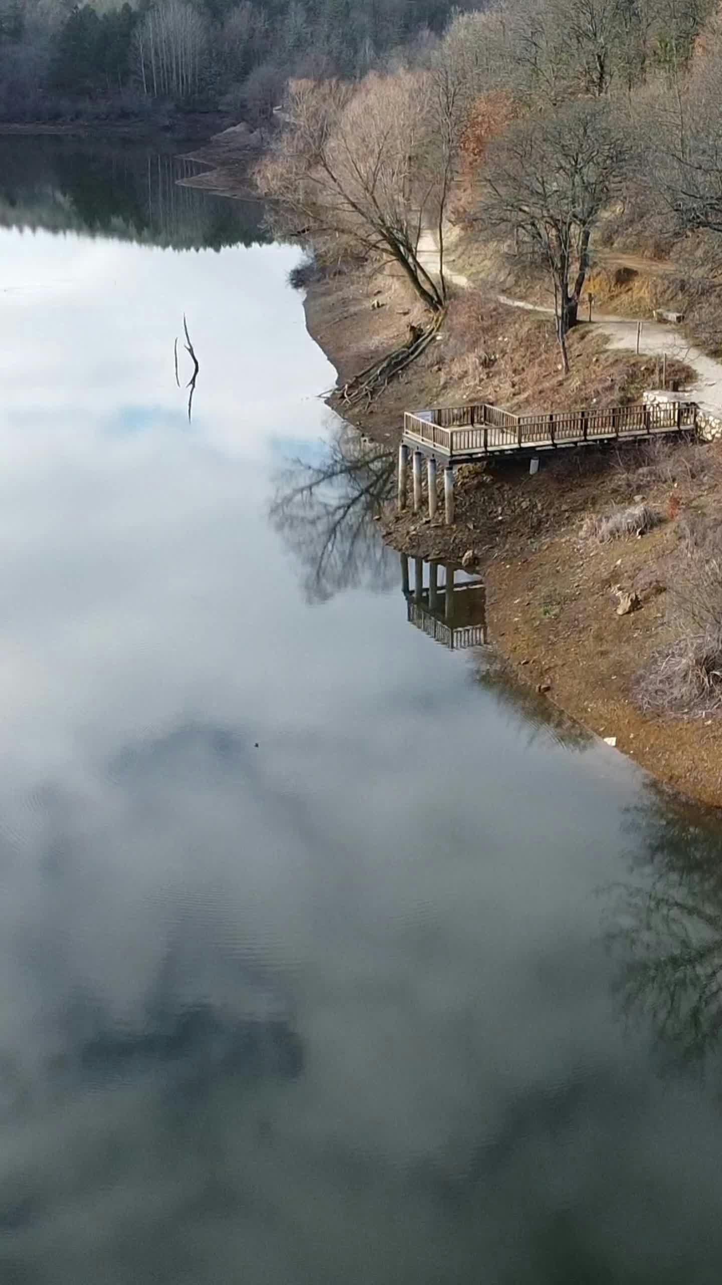 Lineal+Change Videos, Download The BEST Free 4k Stock Video Footage ...