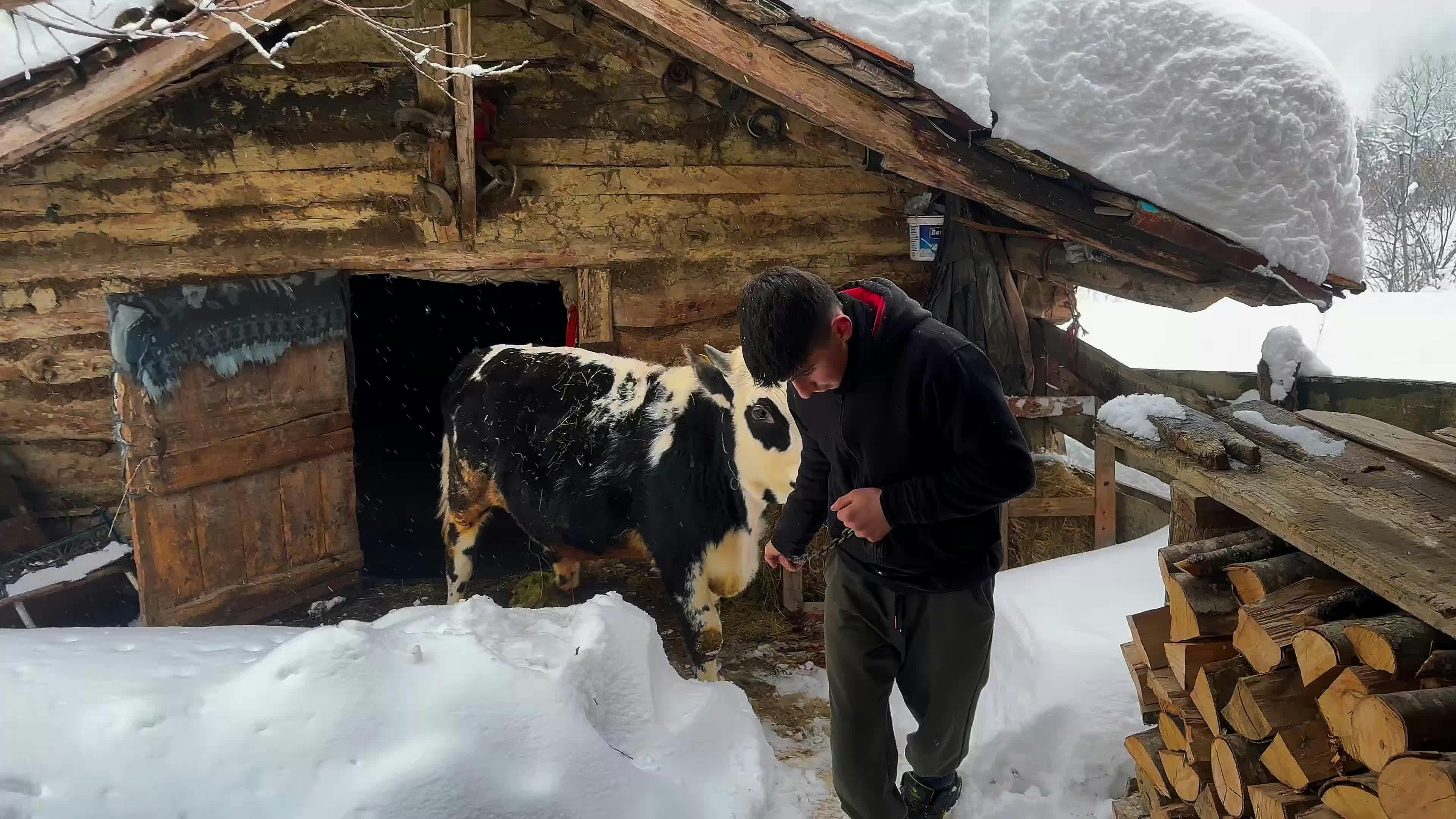 Live+Pc+Backrounds Videos, Download The BEST Free 4k Stock Video ...