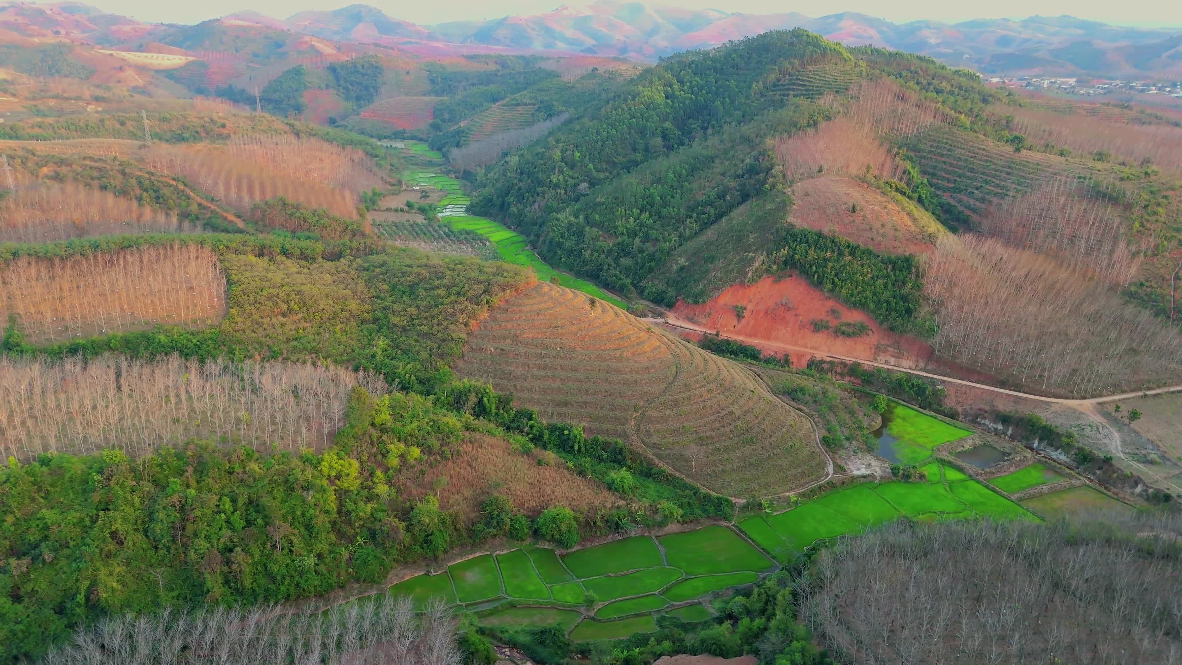 Aerial View of Kon Tum Rubber Plantation and Valley Free Stock Video ...