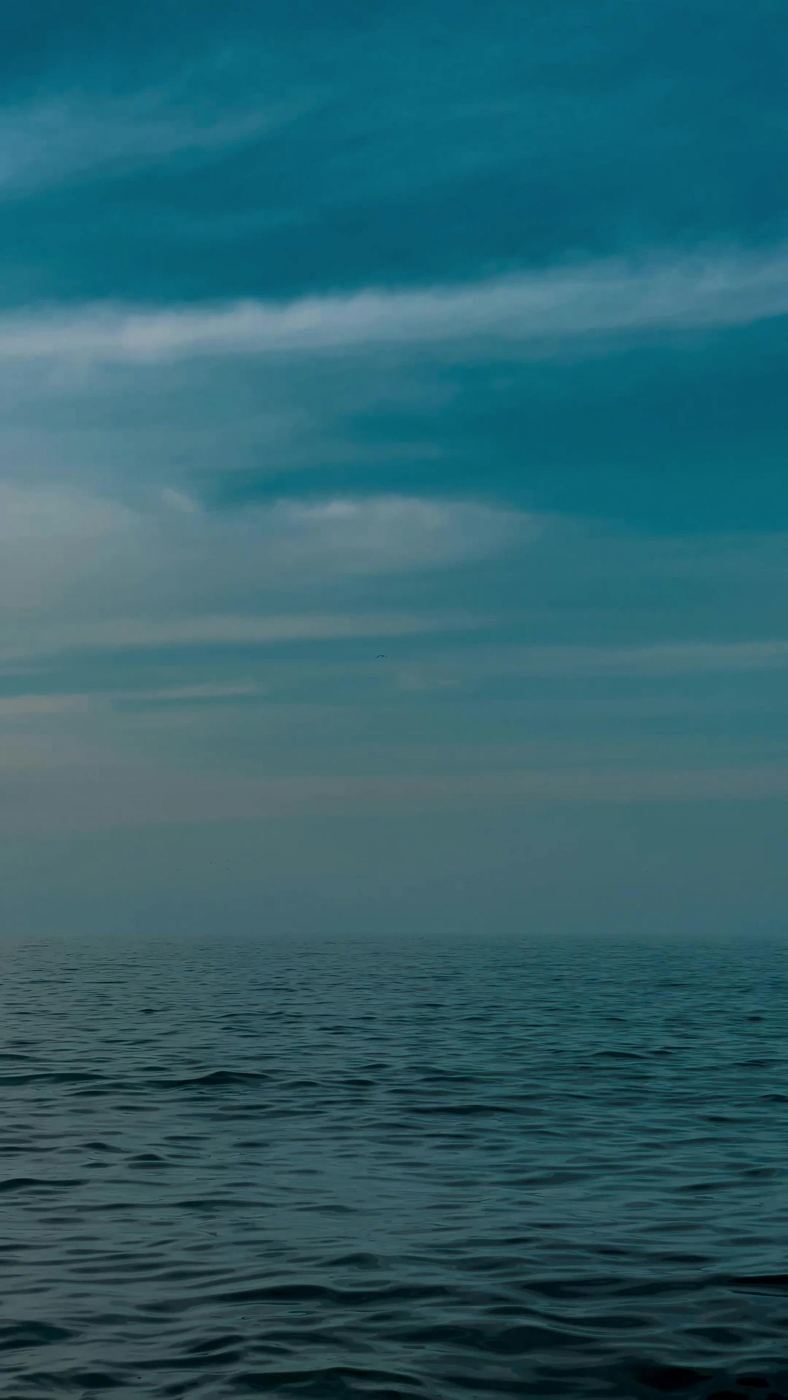 Quitar+Logo+De+Video+IStock Videos, Download The BEST Free 4k Stock ...